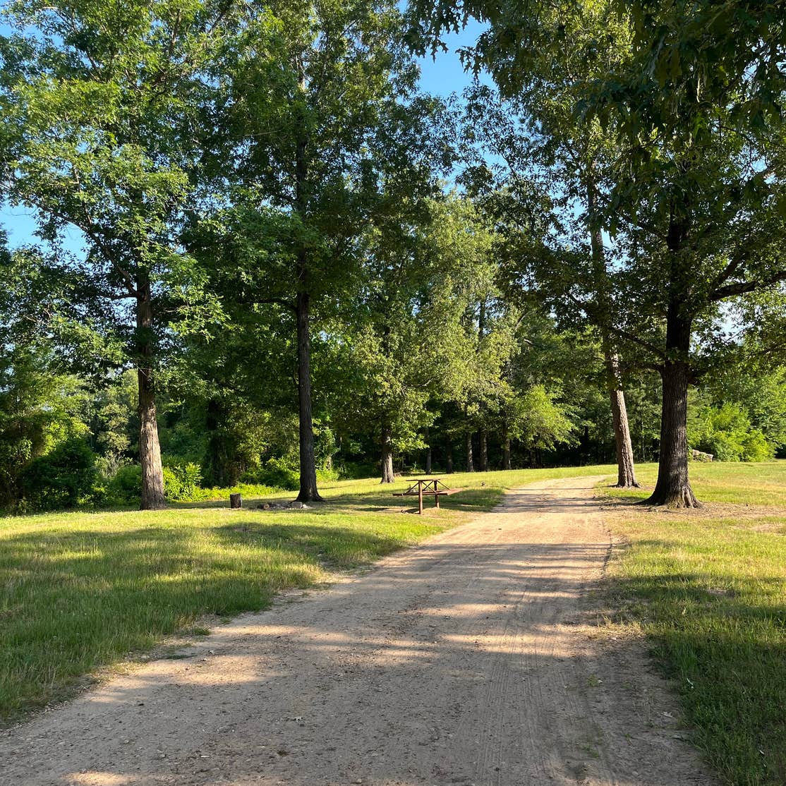 Thomas Lake Park Camping | New Boston, Texas