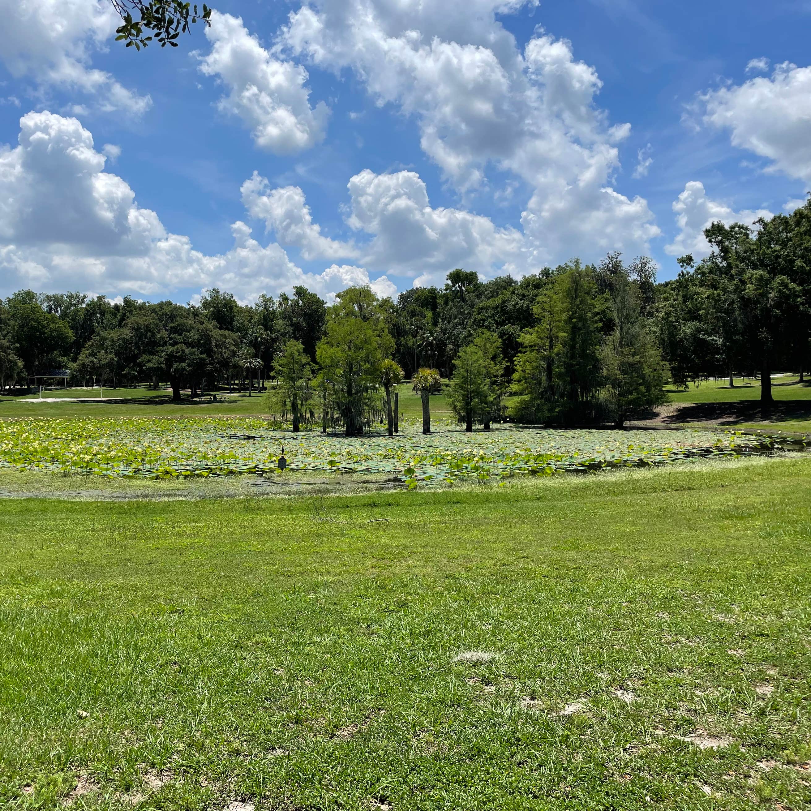 Magnolia Park Campground | Apopka, FL
