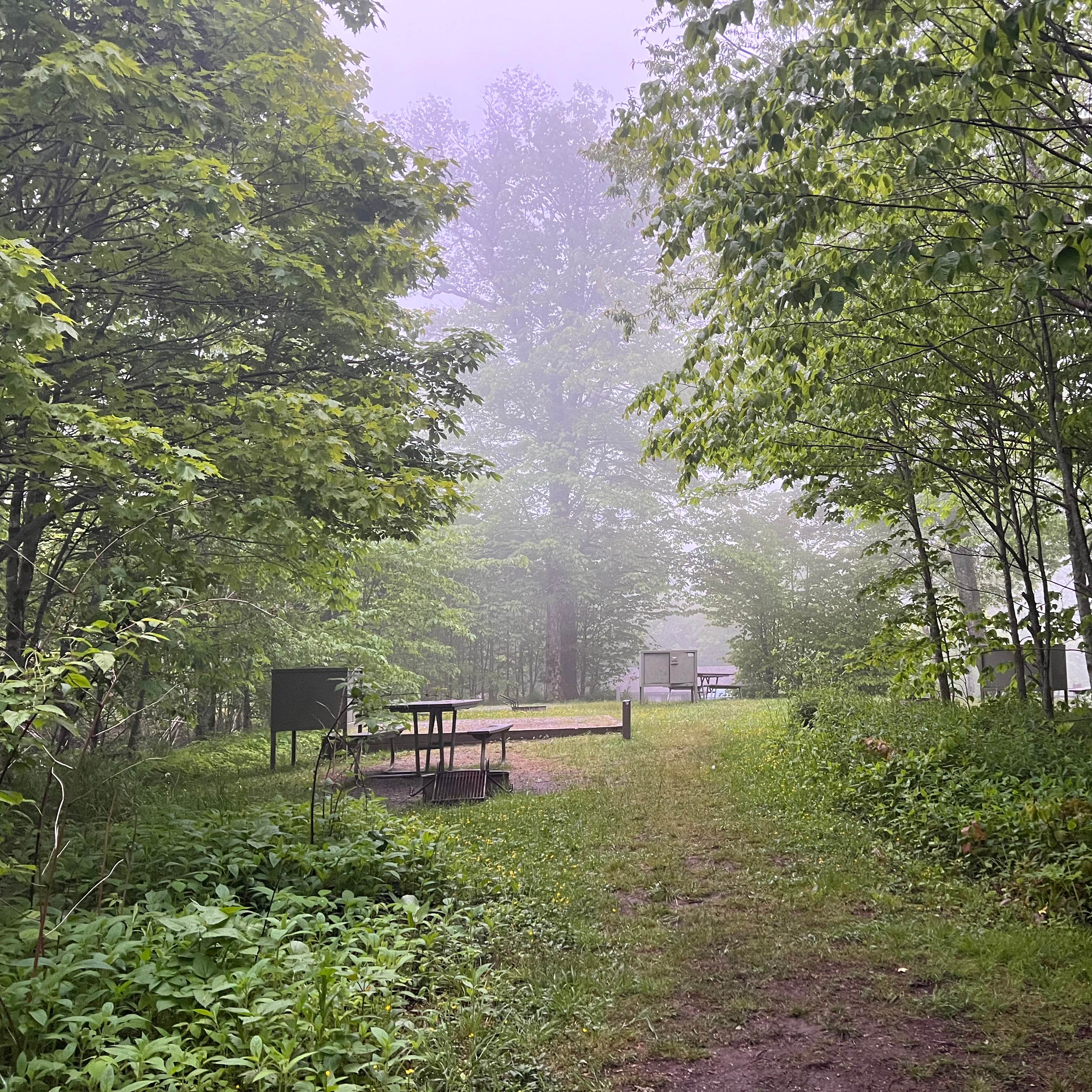 Balsam Mountain Campground — Great Smoky Mountains National Park ...