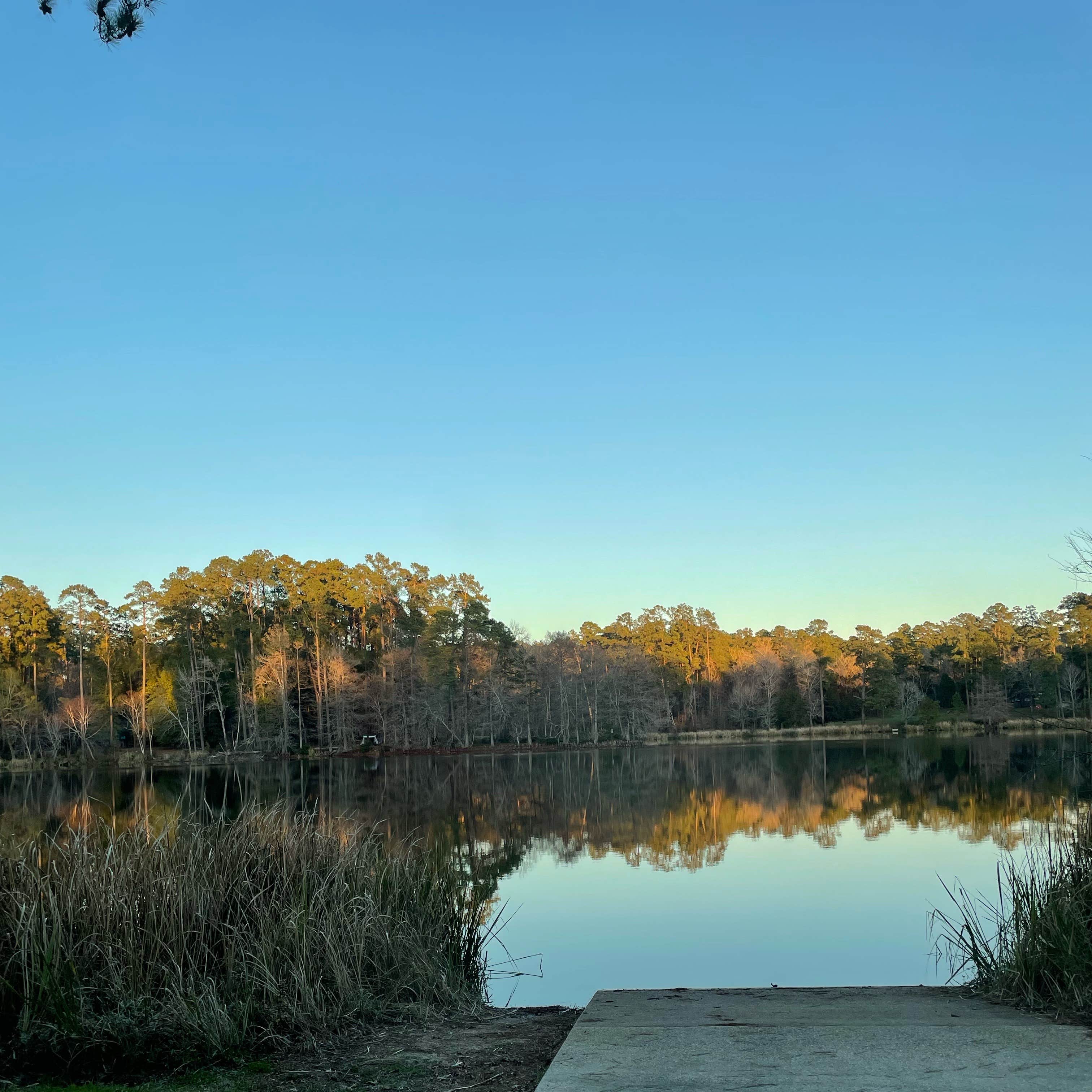 Ratcliff Lake Recreation Area Camping | Kennard, TX