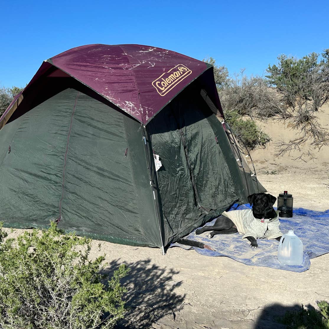 Rabbit Hole Ranch Camping | Mosca, Colorado