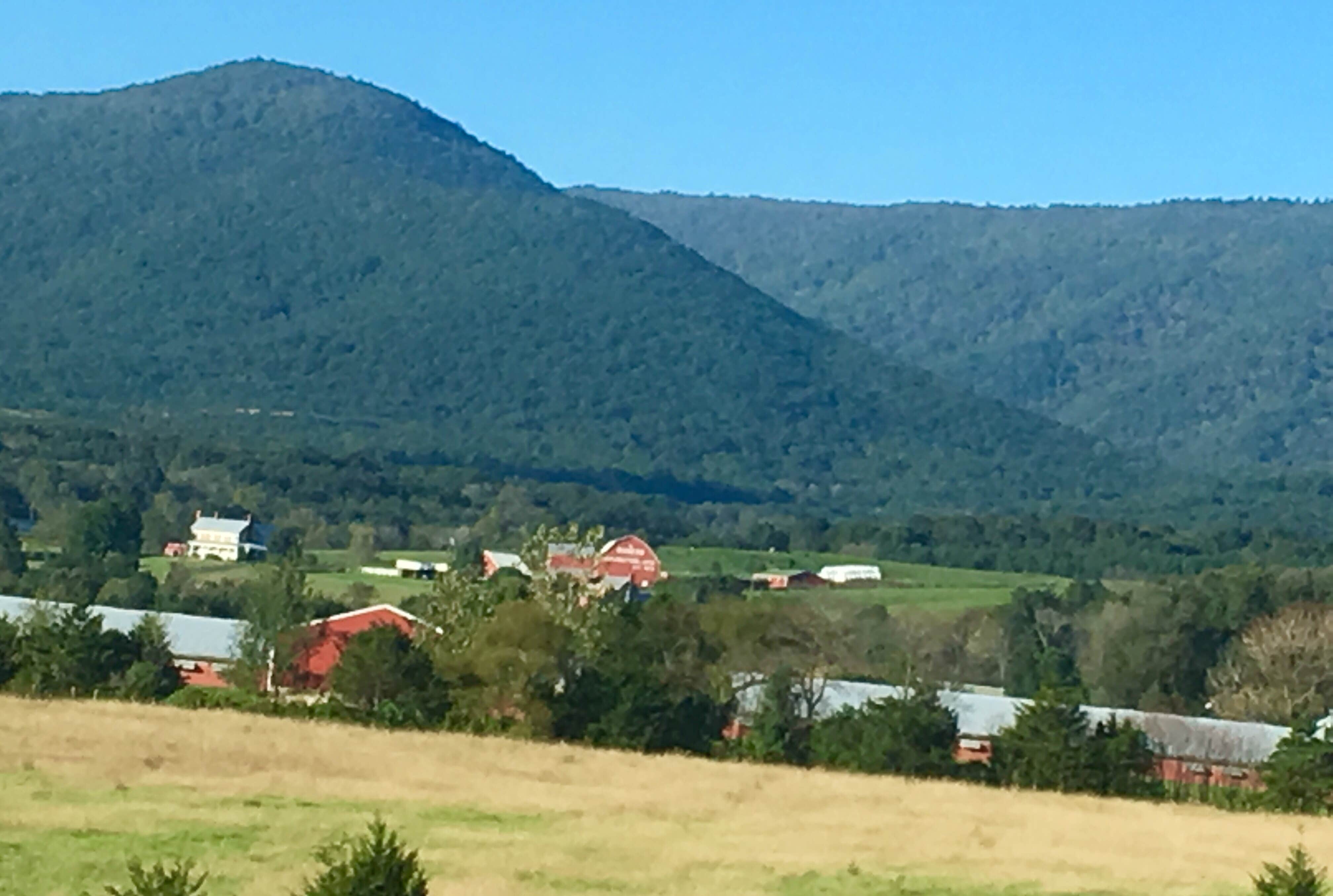 Spacious Skies Shenandoah Views Camping | Luray, Virginia