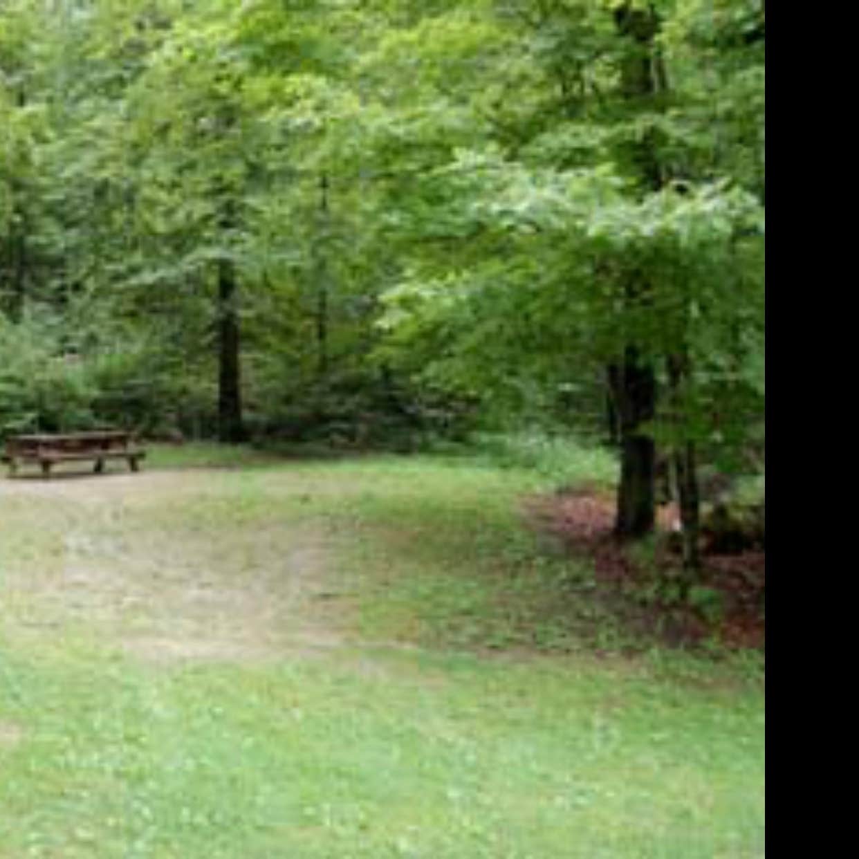 Savoy Mountain State Forest Camping | The Dyrt