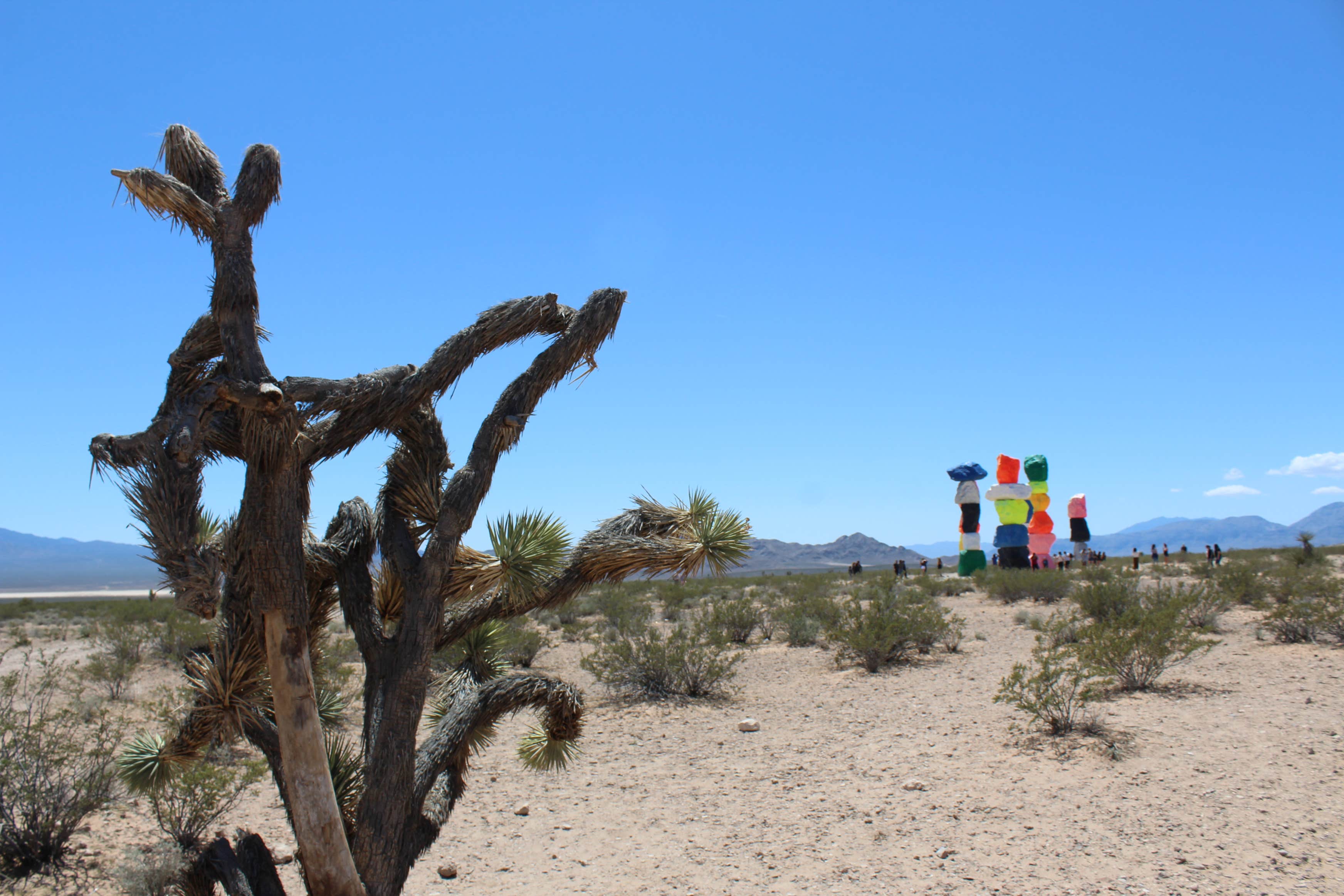 Dispersed-jean/roach Dry Lakes Camping | The Dyrt