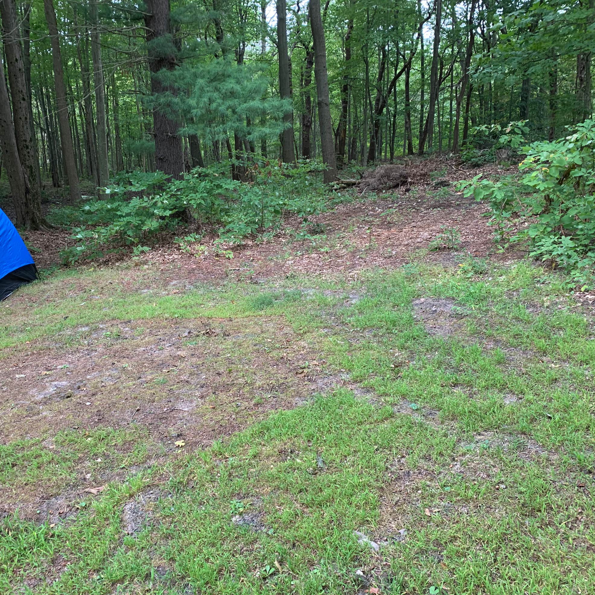 Dune Lake Campground | Covert, Michigan