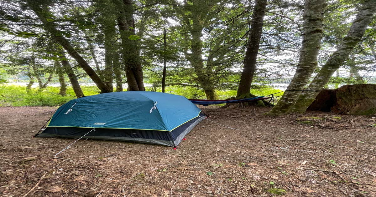 Merrill Lake Campground | Cougar, WA