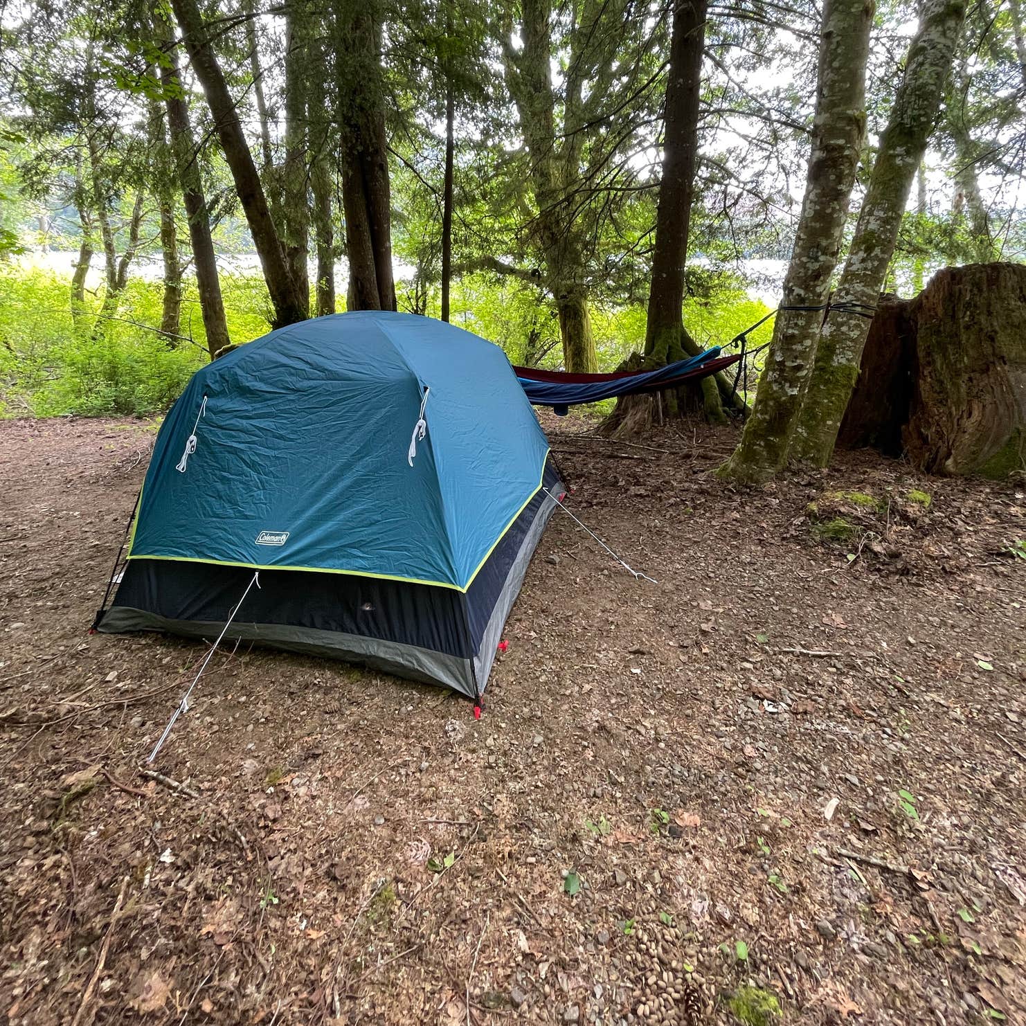 Merrill Lake Campground | Cougar, Washington