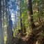 Merrill Lake Campground | Cougar, WA
