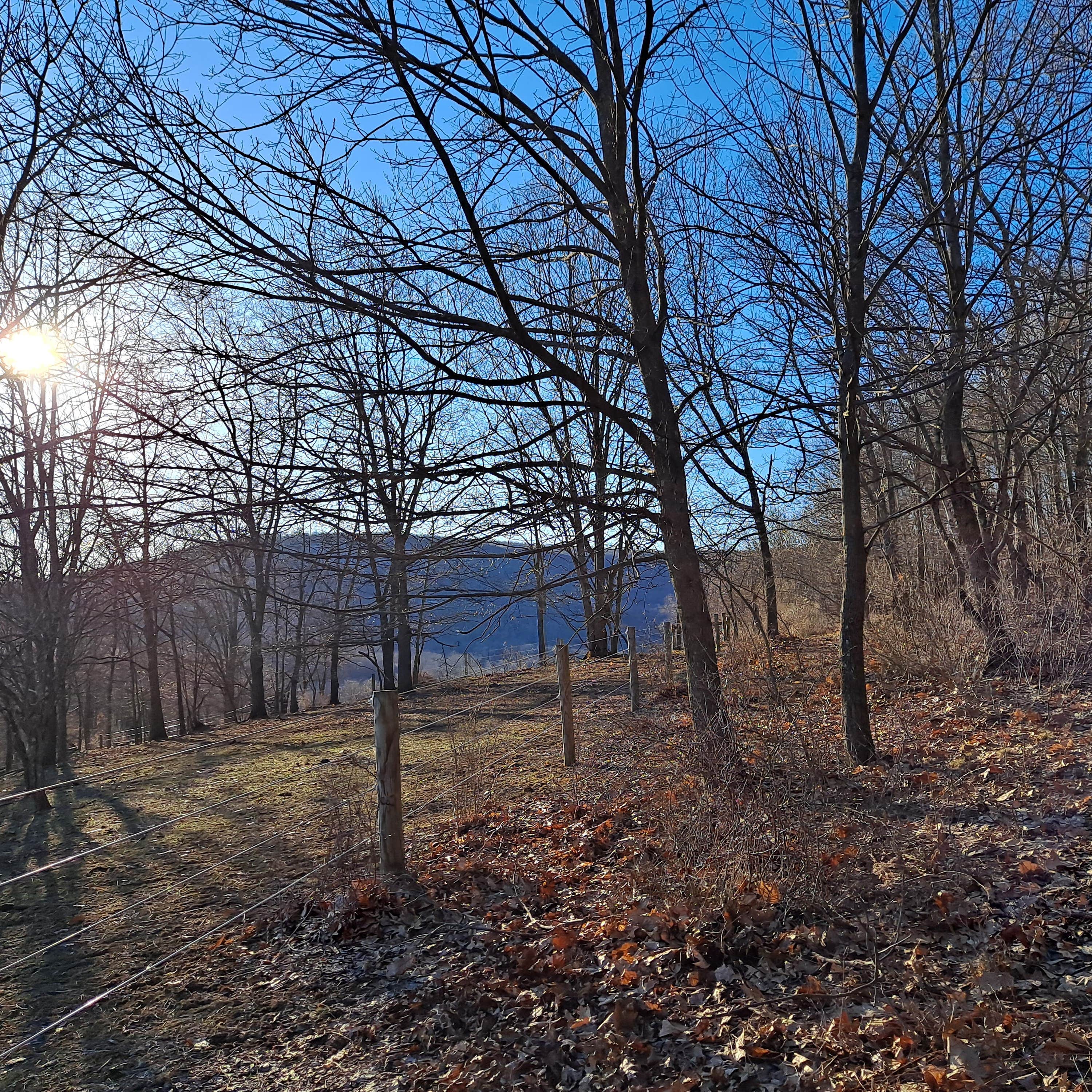 Royal Rock Equestrian Center Camping | Noxen, PA