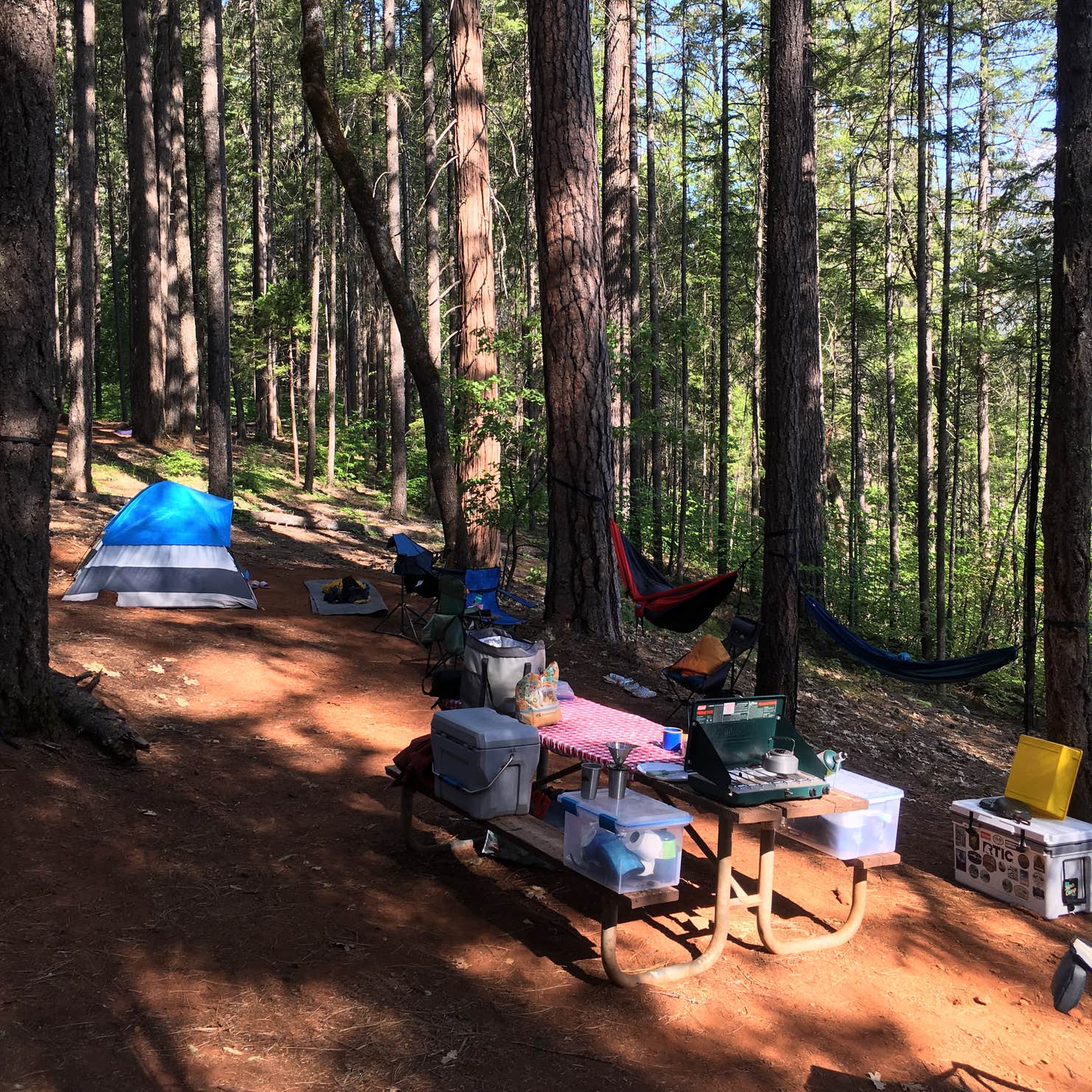 Tannery Gulch Campground | Trinity Center, CA