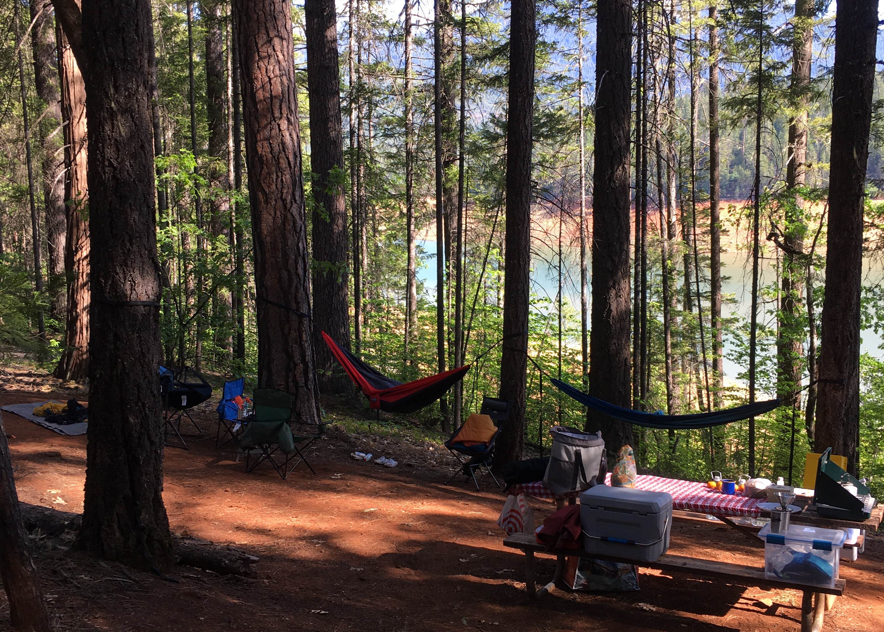 Tannery Gulch Campground Camping | The Dyrt