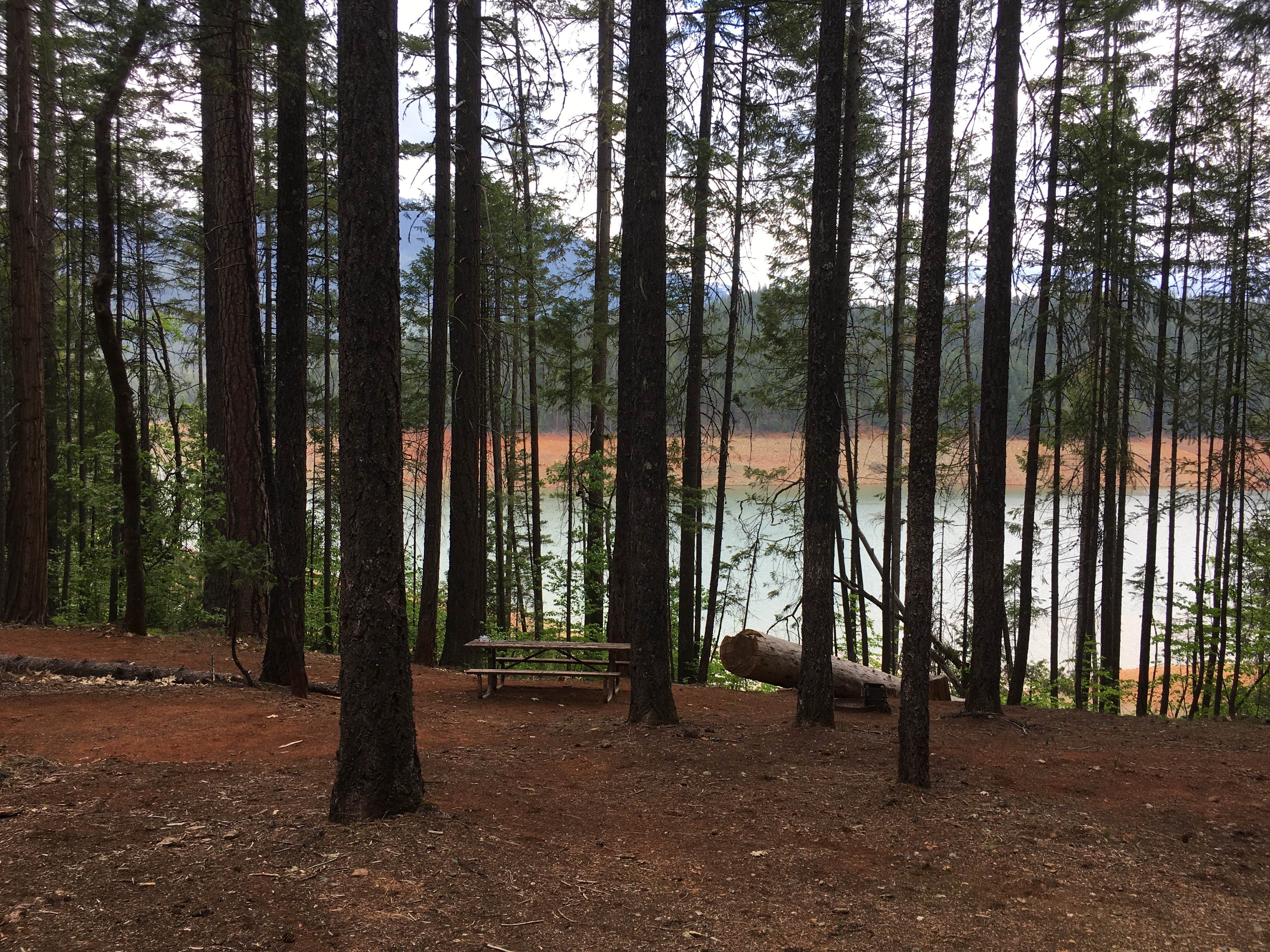 Tannery Gulch Campground | Trinity Center, CA