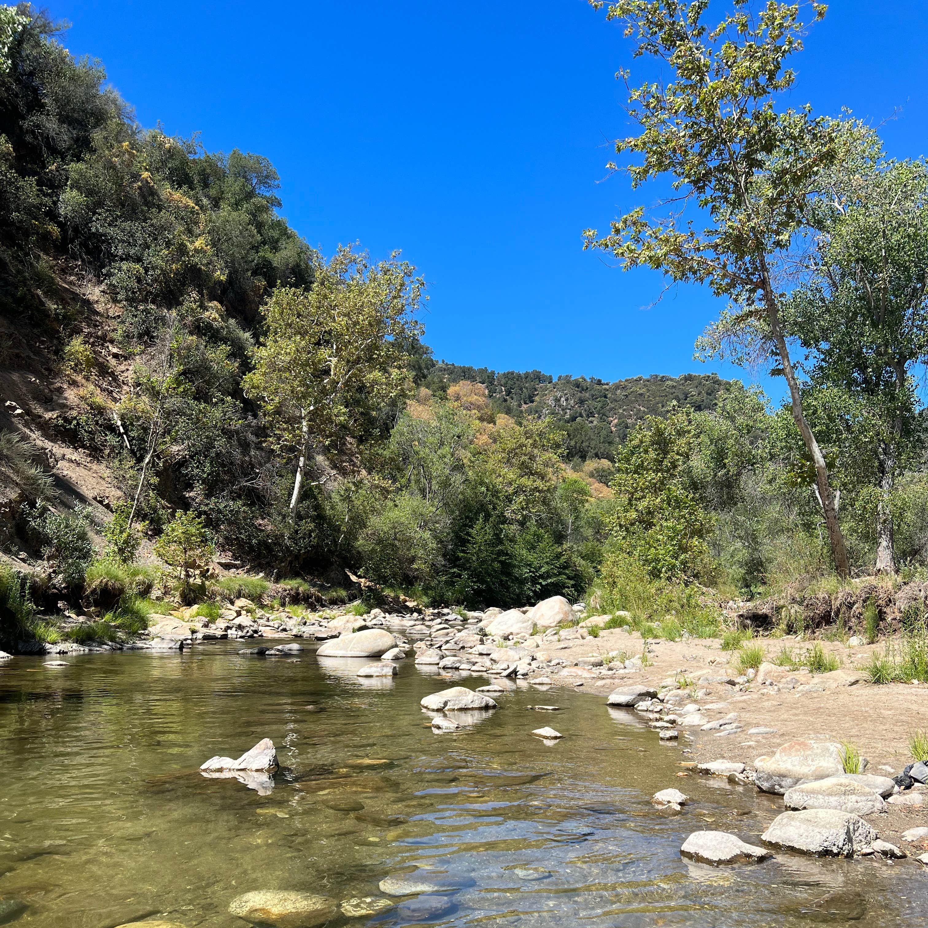 Arroyo Seco Camping | Lucia, California