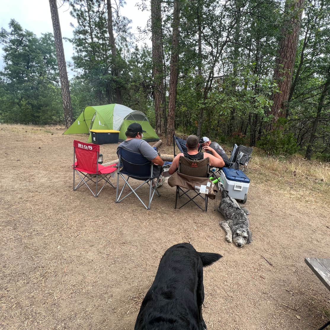 Wishon Bass Lake Camping | Wishon, California