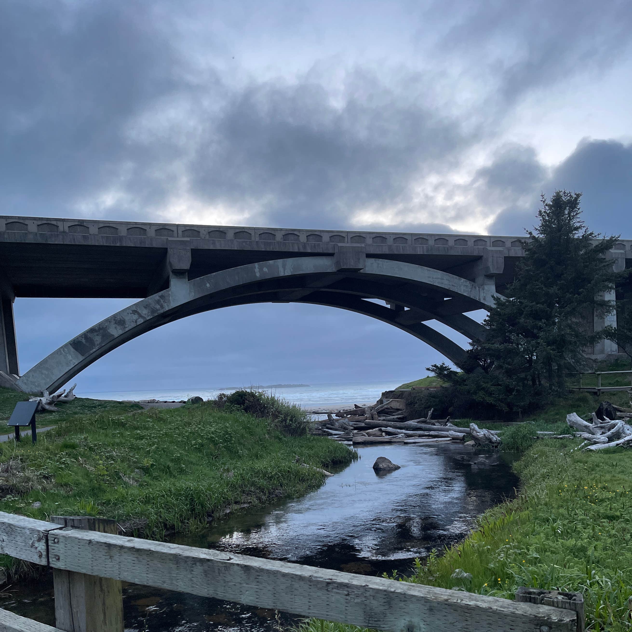 Beverly Beach State Park Campground | Newport, OR