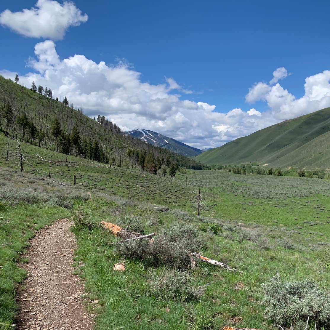 Uncle Johns Gulch on Corral Creek Road Camping | Sun Valley, Idaho