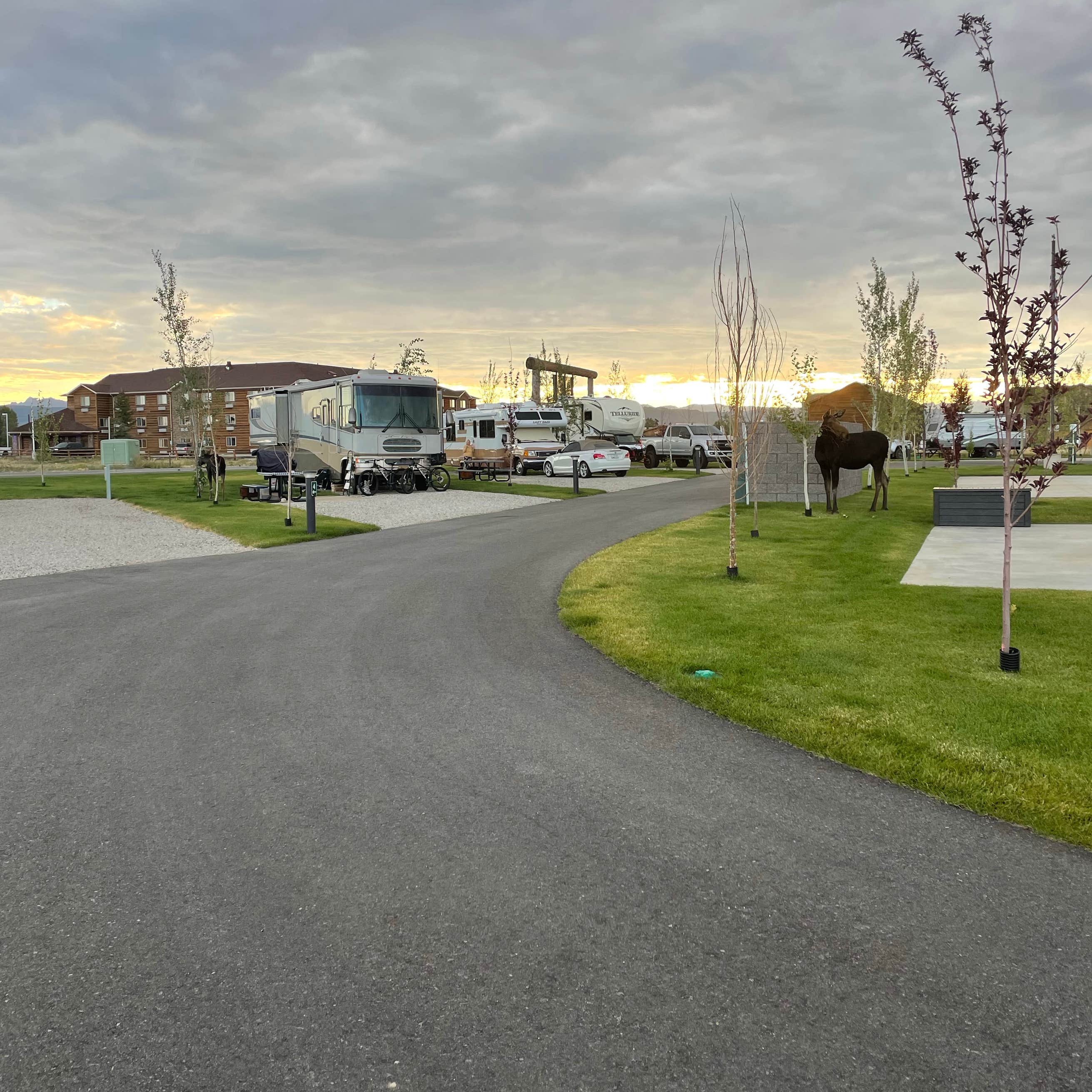 Yellowstone Trail RV Park Camping | The Dyrt