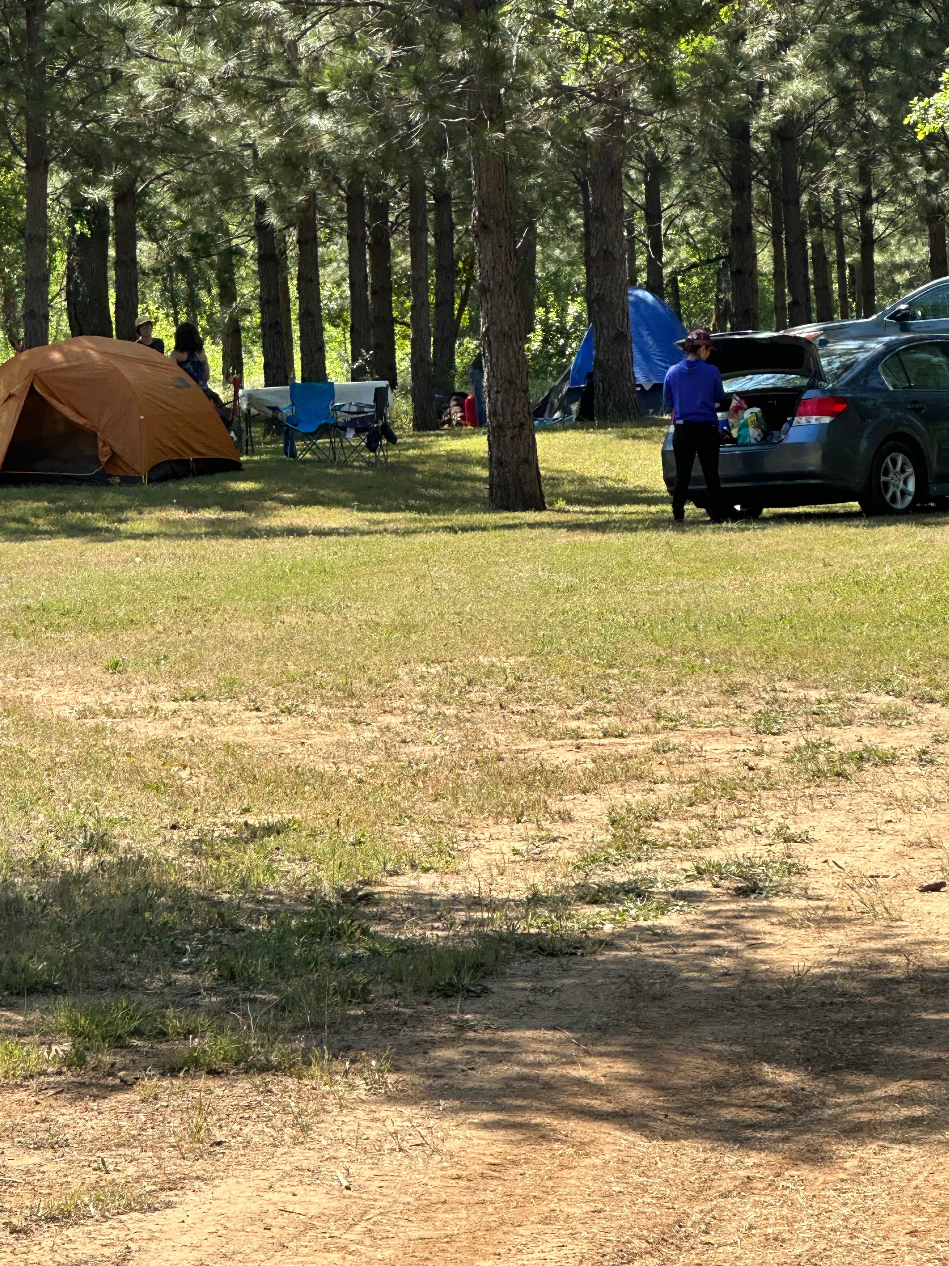 Oregon House Falls Camping | Oregon House, CA