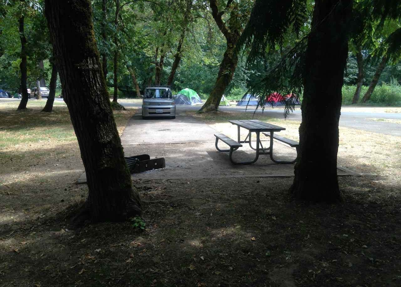 Waterloo County Park Camping | The Dyrt