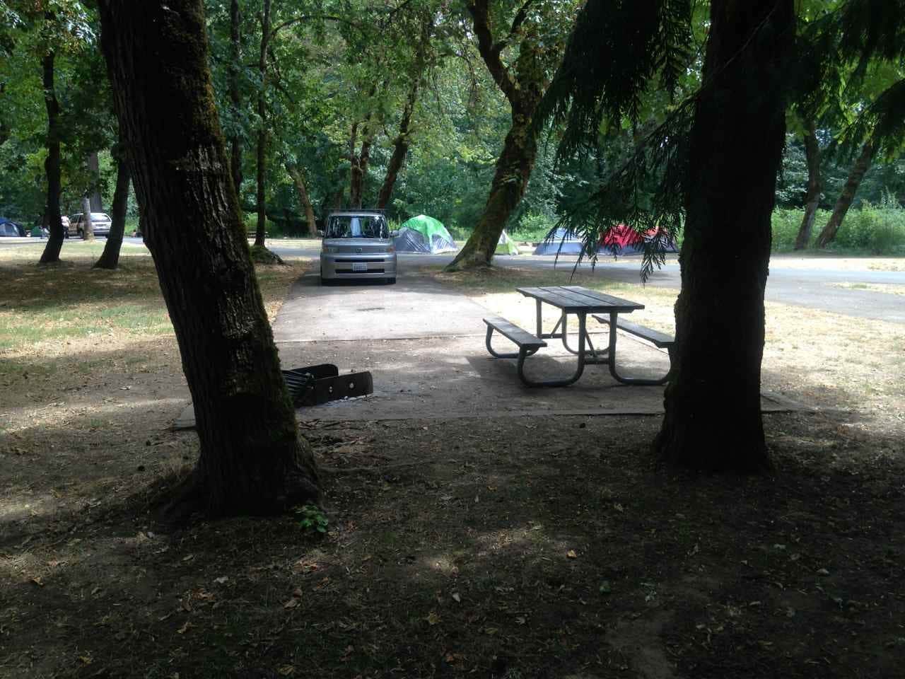 Waterloo County Park Camping | Lebanon, Oregon