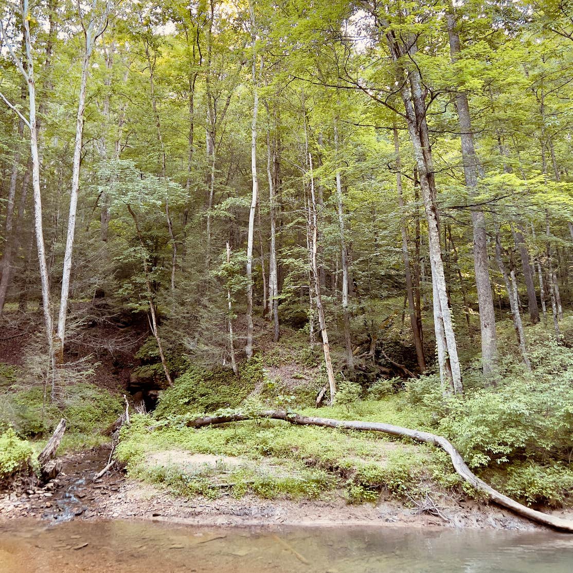 Turkey Foot Campground | McKee, KY