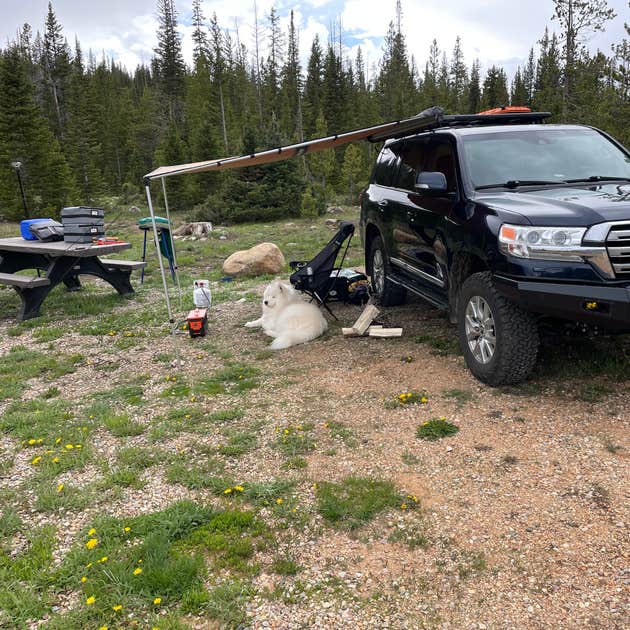 North Fork Campground Camping | The Dyrt