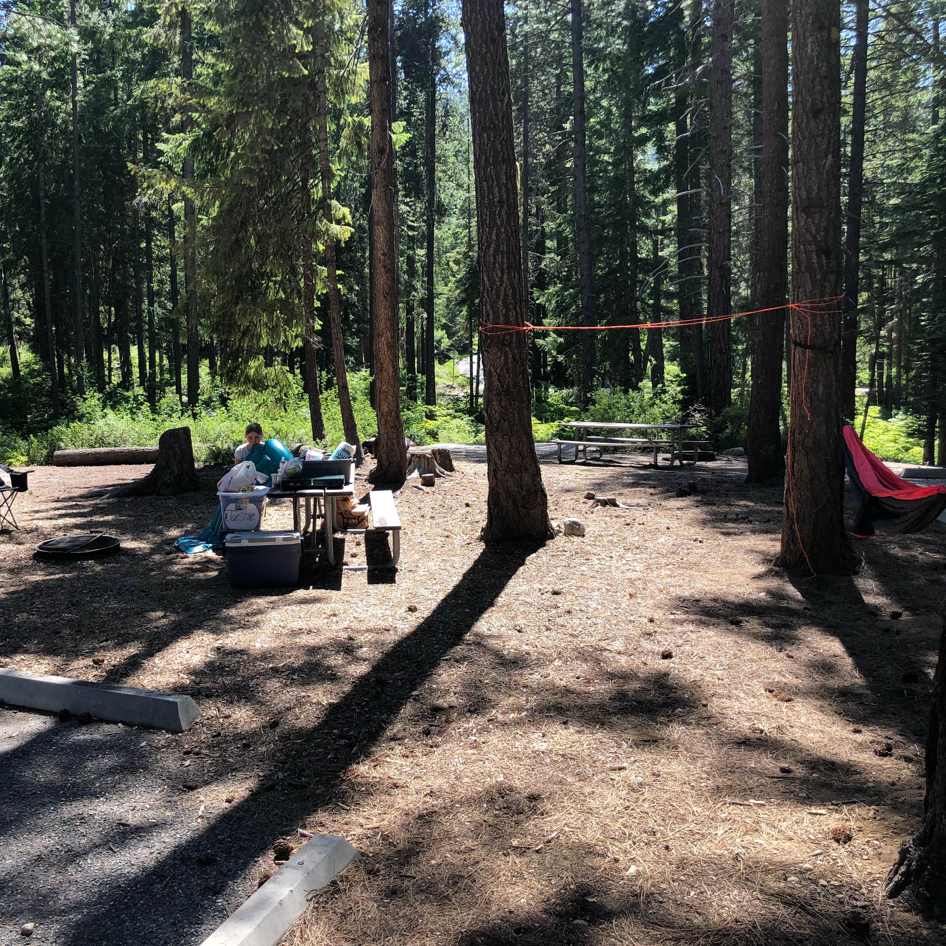 Lake Wenatchee State Park Campground | Leavenworth, Washington