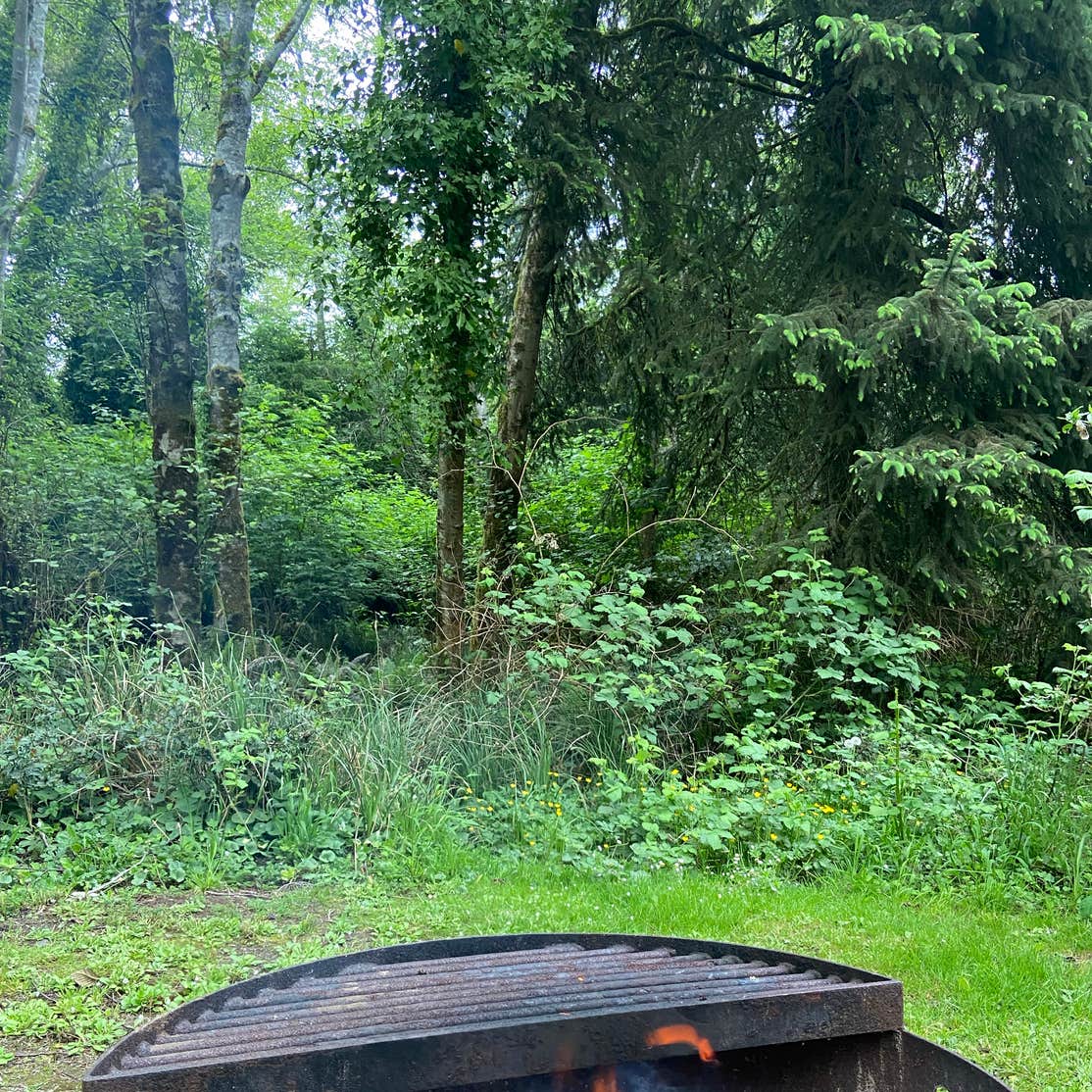 Devil's Lake State Recreation Area Camping | Lincoln City, Oregon