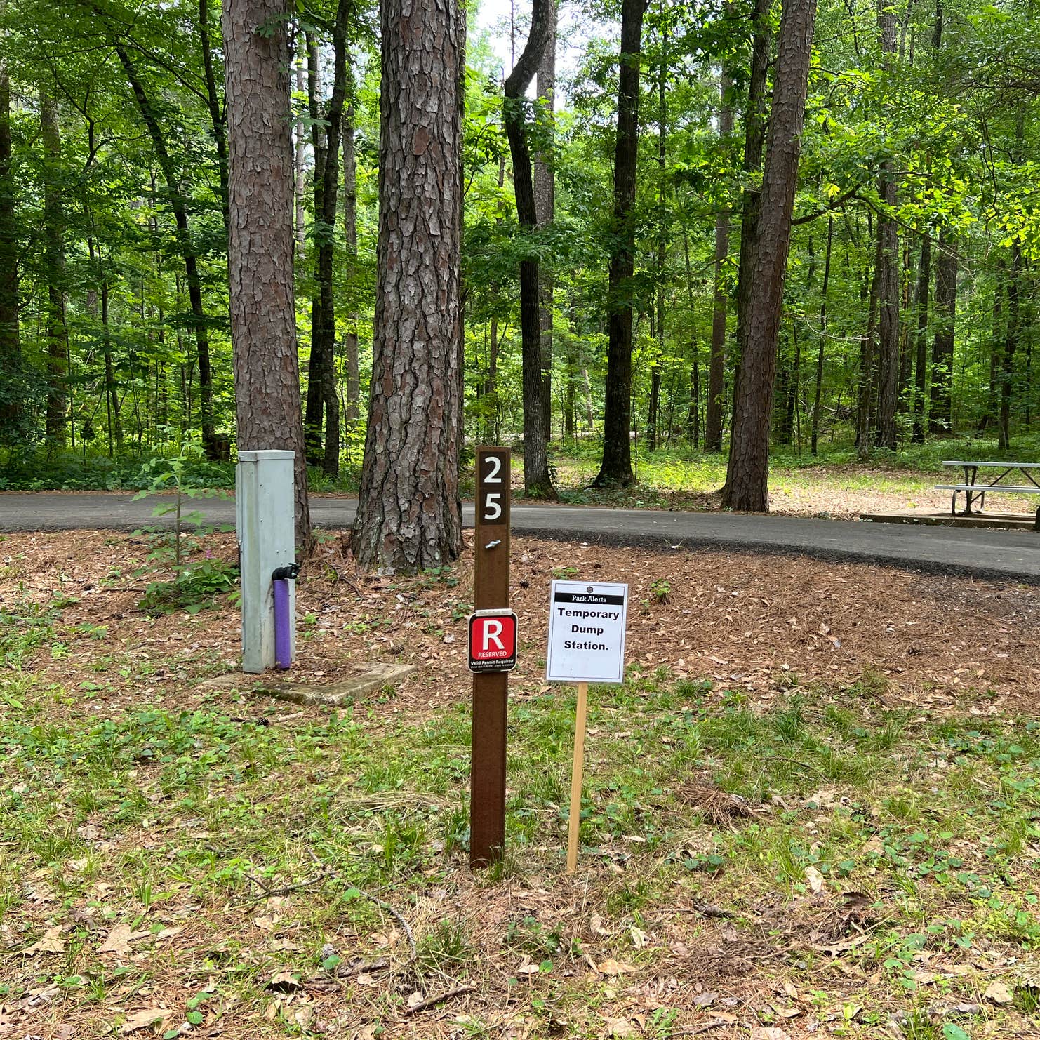 Caddo Lake State Park Campground | Karnack, TX
