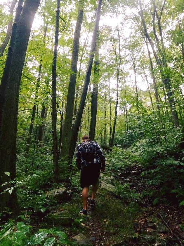 Lyman Run State Park Camping | The Dyrt