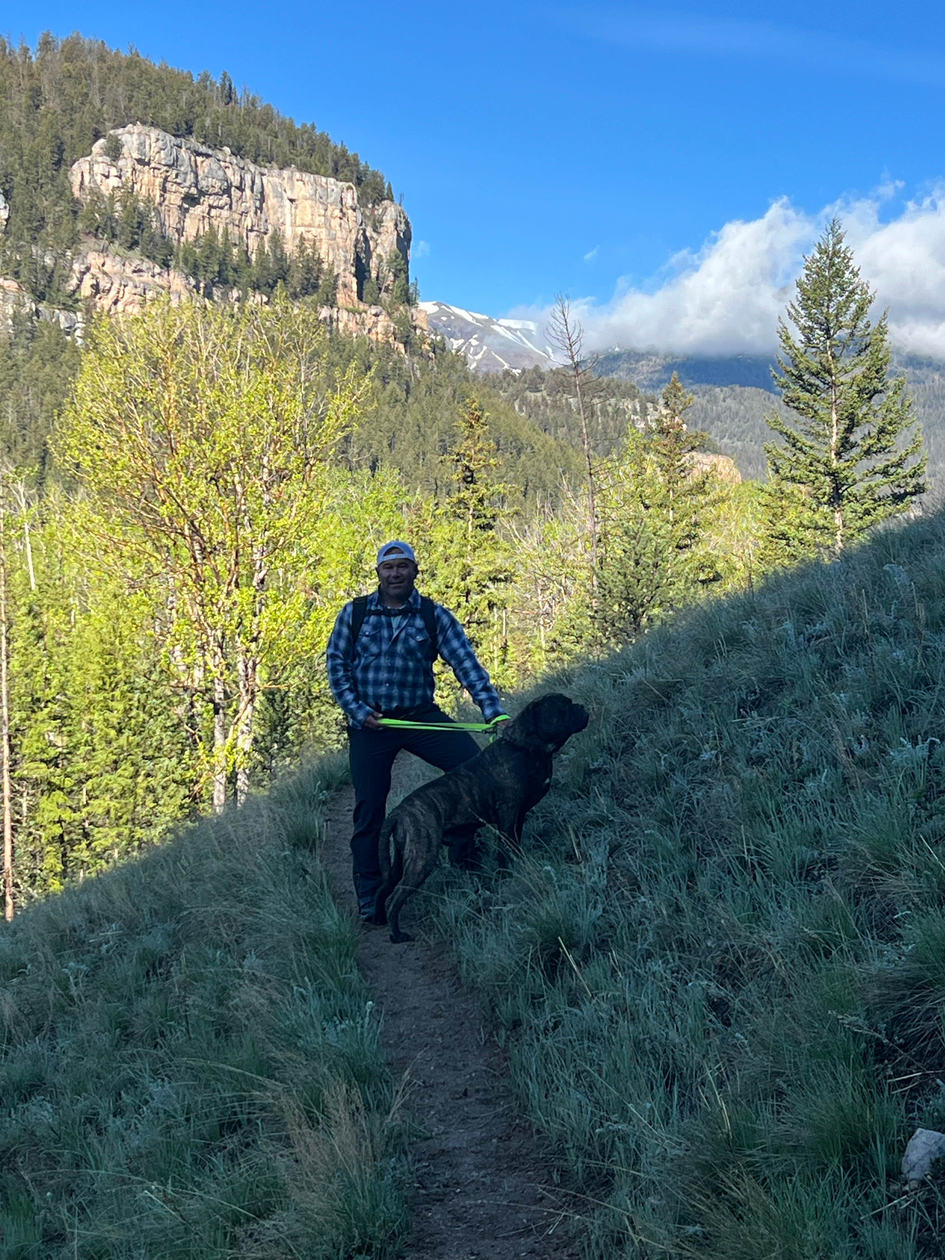 Little Sunlight Camping Area | Cody, WY
