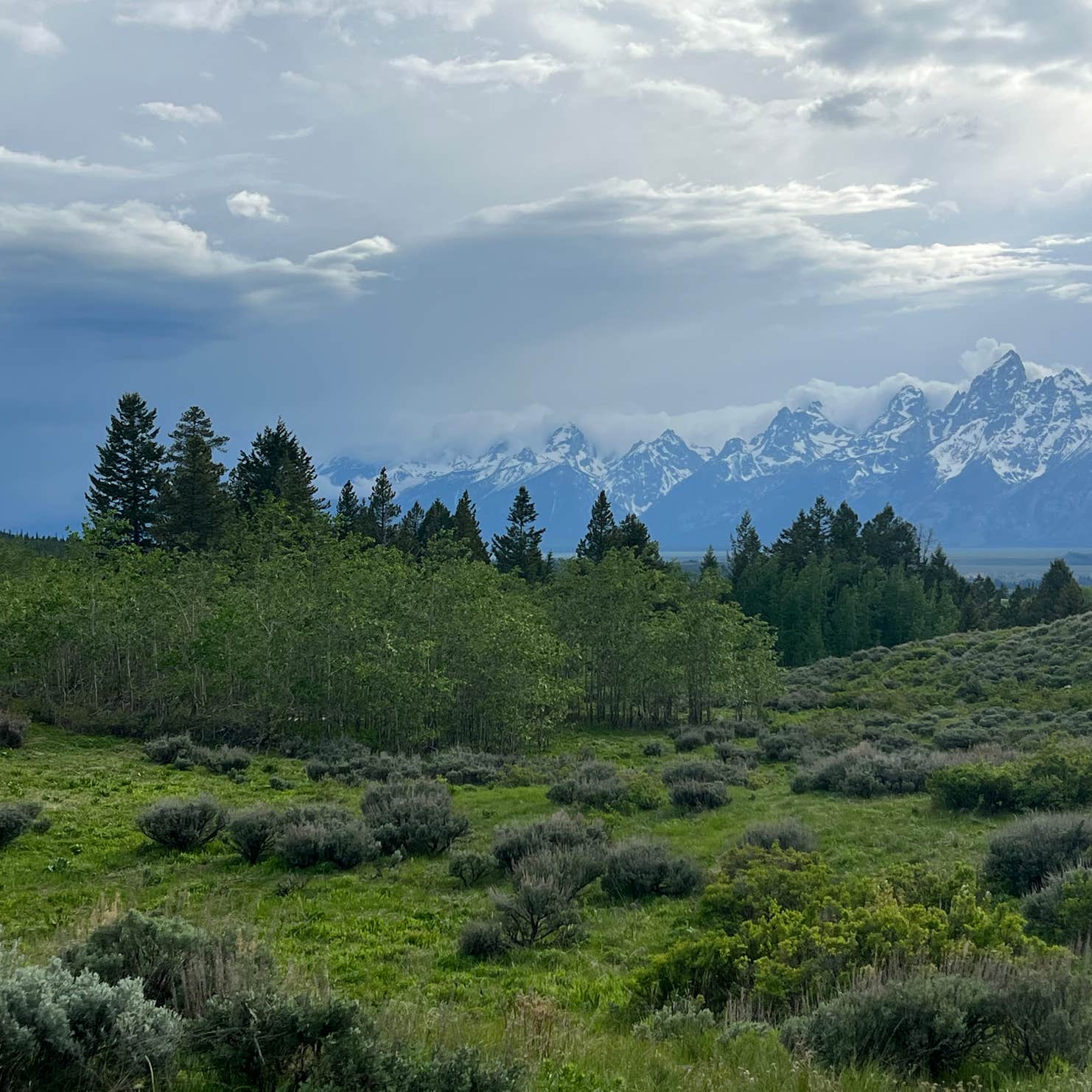 Grand Teton Lookout Camping | Moran, WY