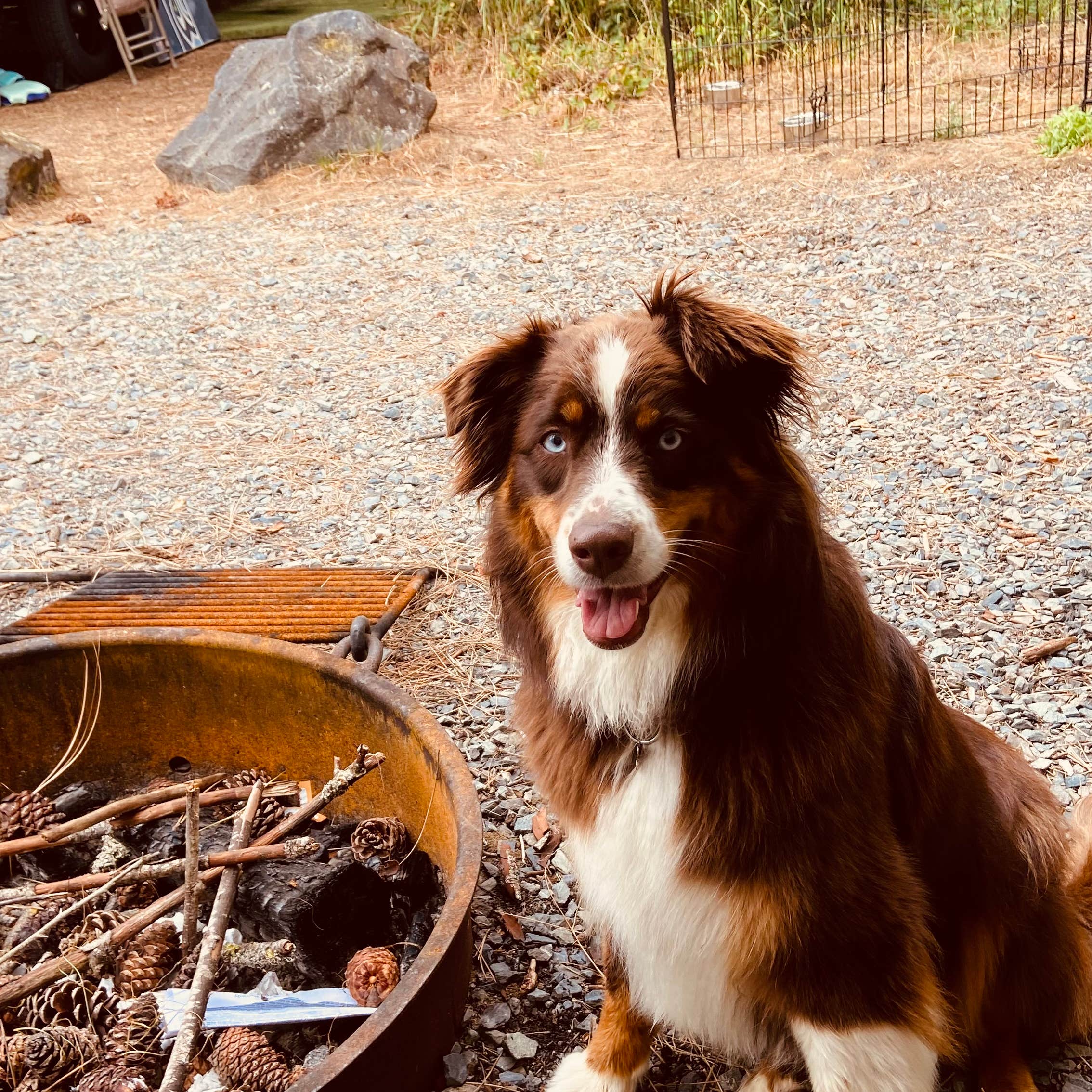 Dragoon Creek Campground | Deer Park, WA