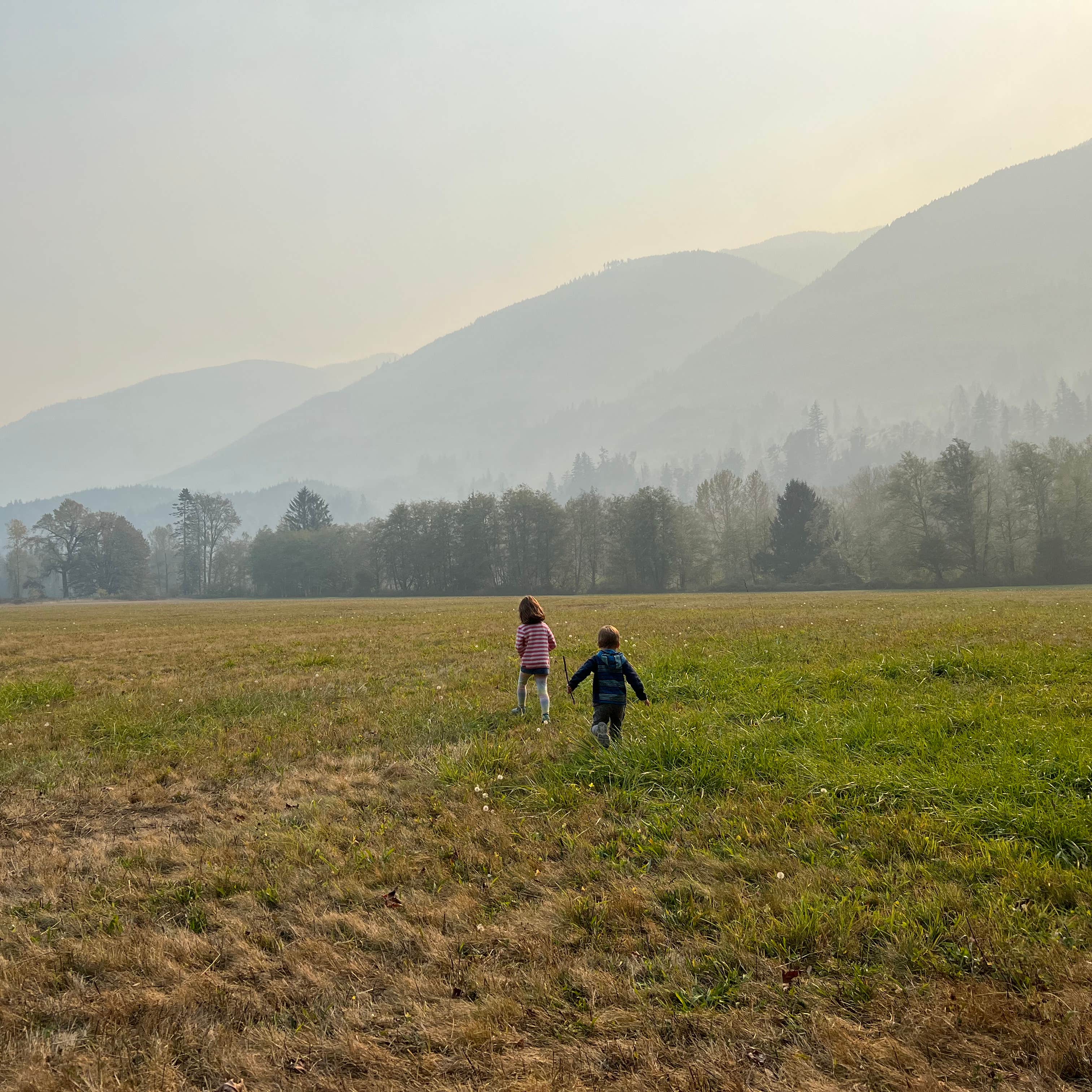 Rasar State Park Campground | Hamilton, Washington