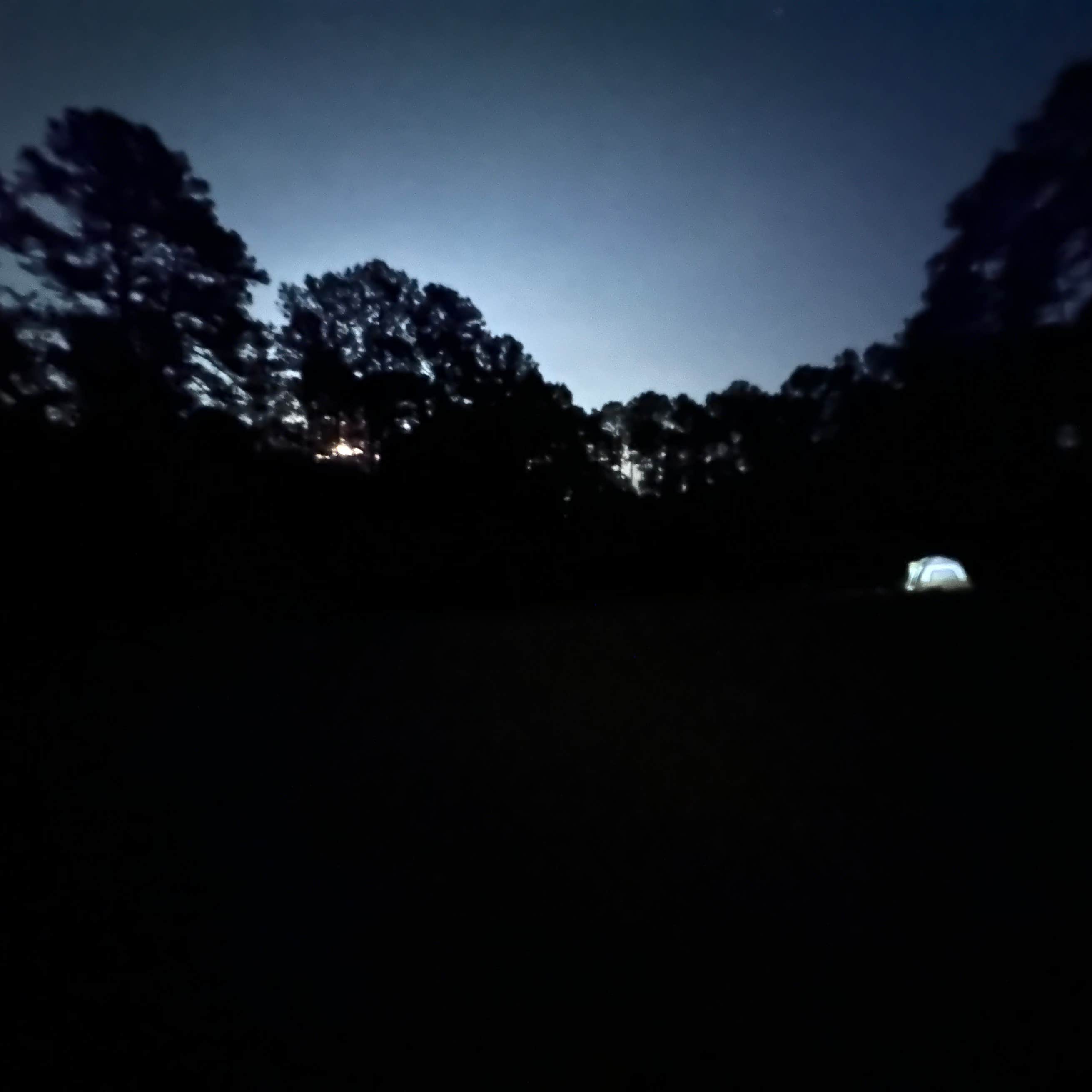 Chester State Park Campground | Chester, South Carolina