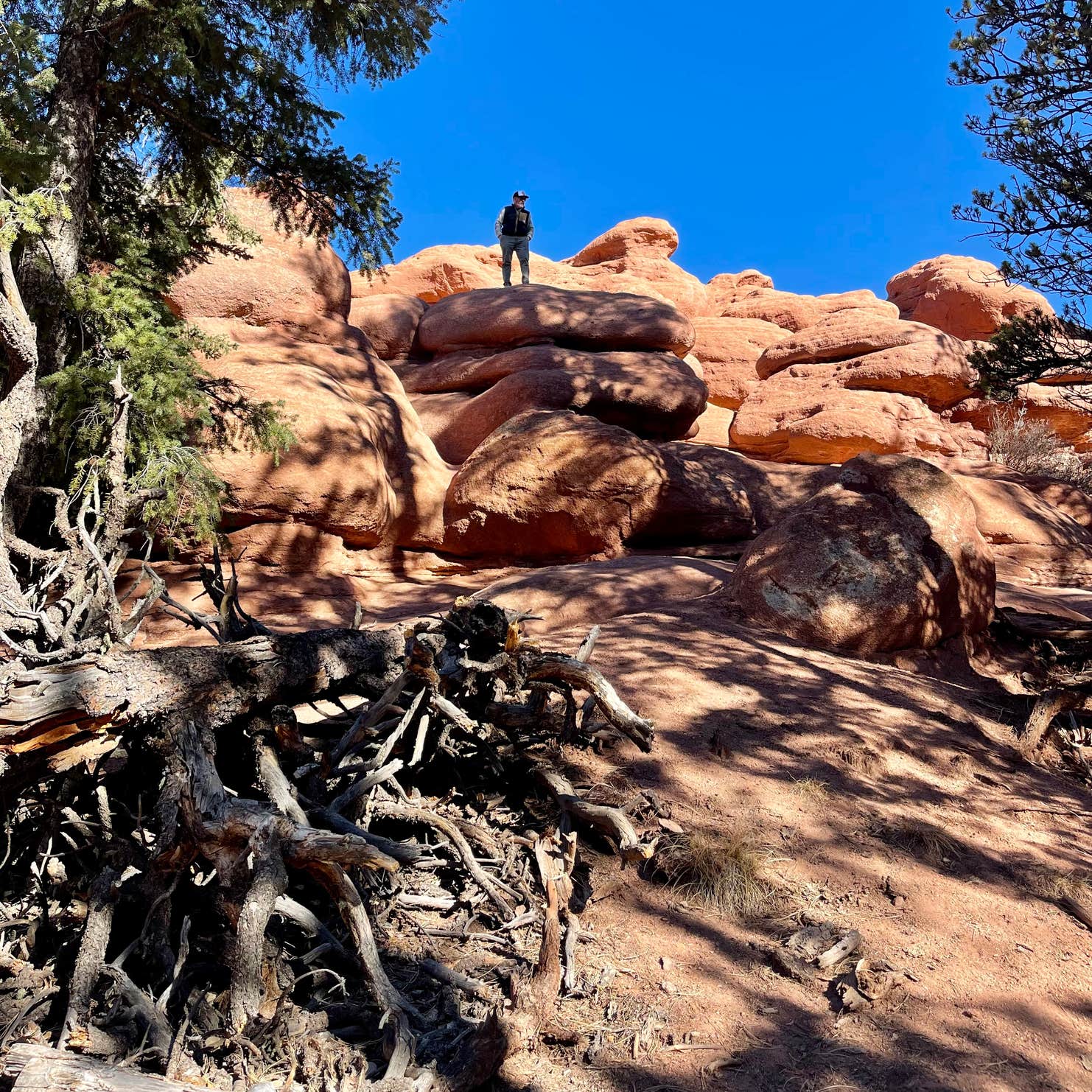 Red Rocks Group Campground Camping | Colorado Springs, CO | The Dyrt