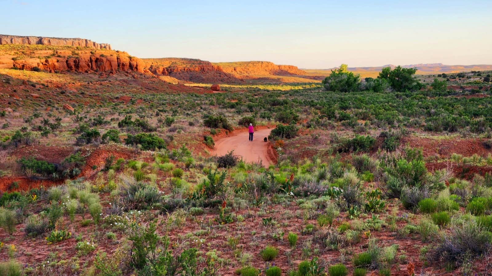 Butler Wash Dispersed - Bears Ears Camping | Bluff, UT