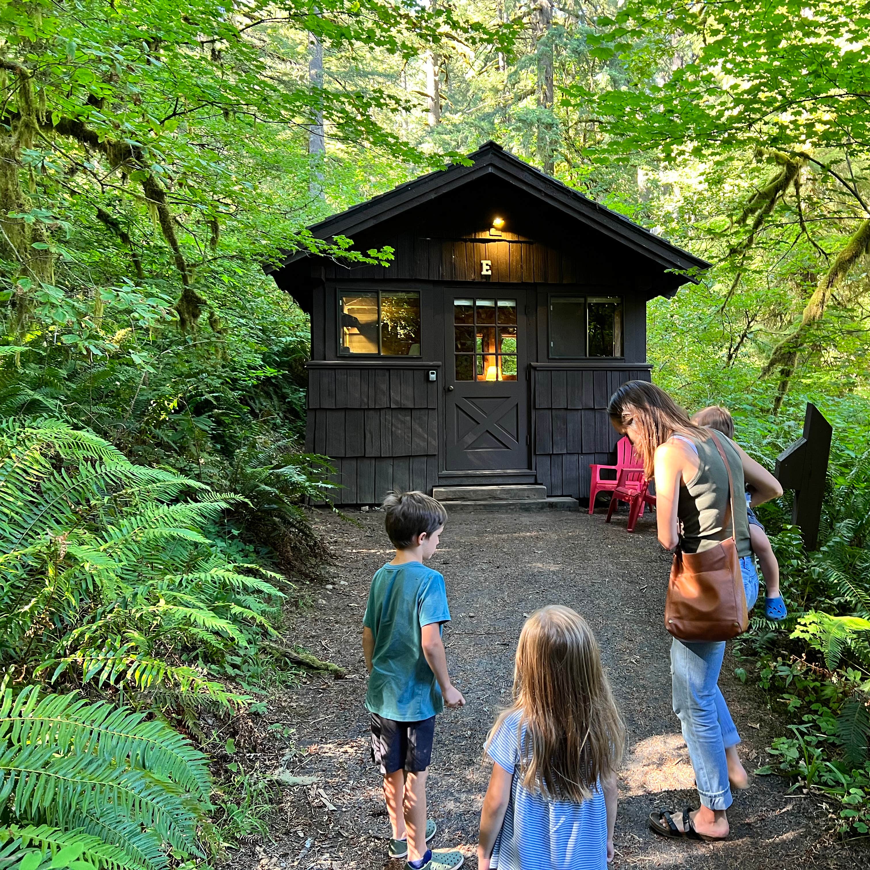 Smith Creek Village — Silver Falls State Park Camping | Mehama, OR