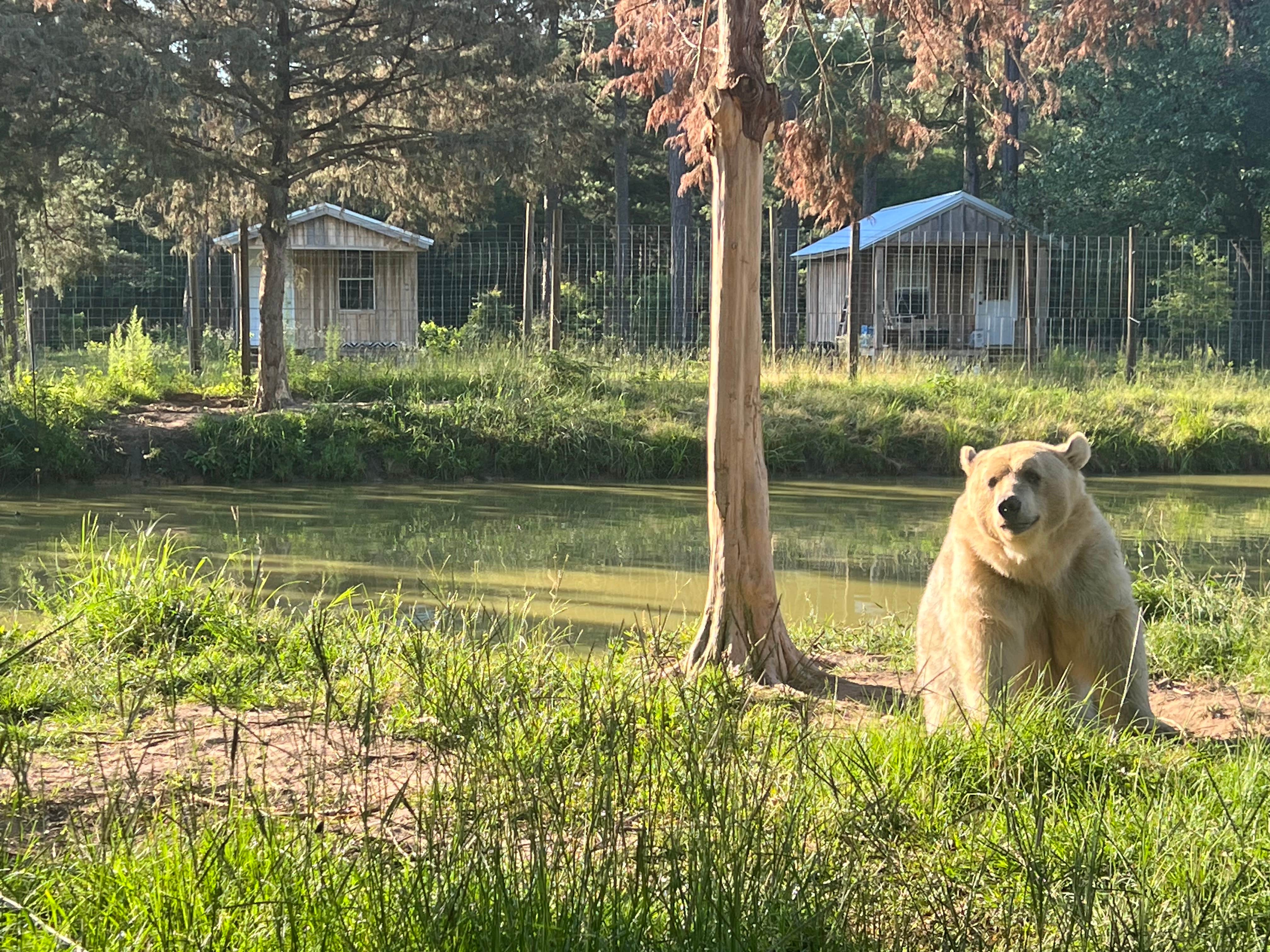 Grizzly Ranch Camping | Geneva, AL