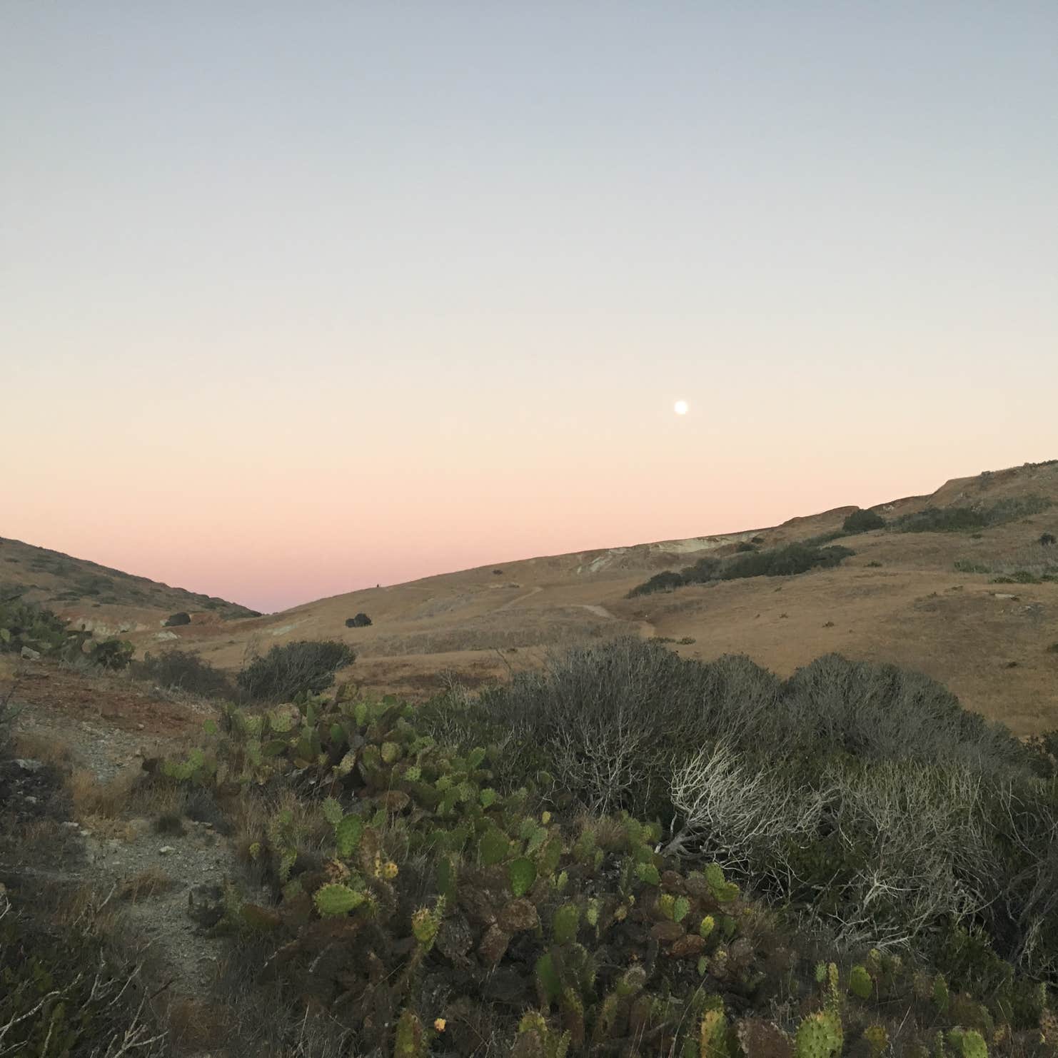 Parsons Landing Campground Camping | The Dyrt