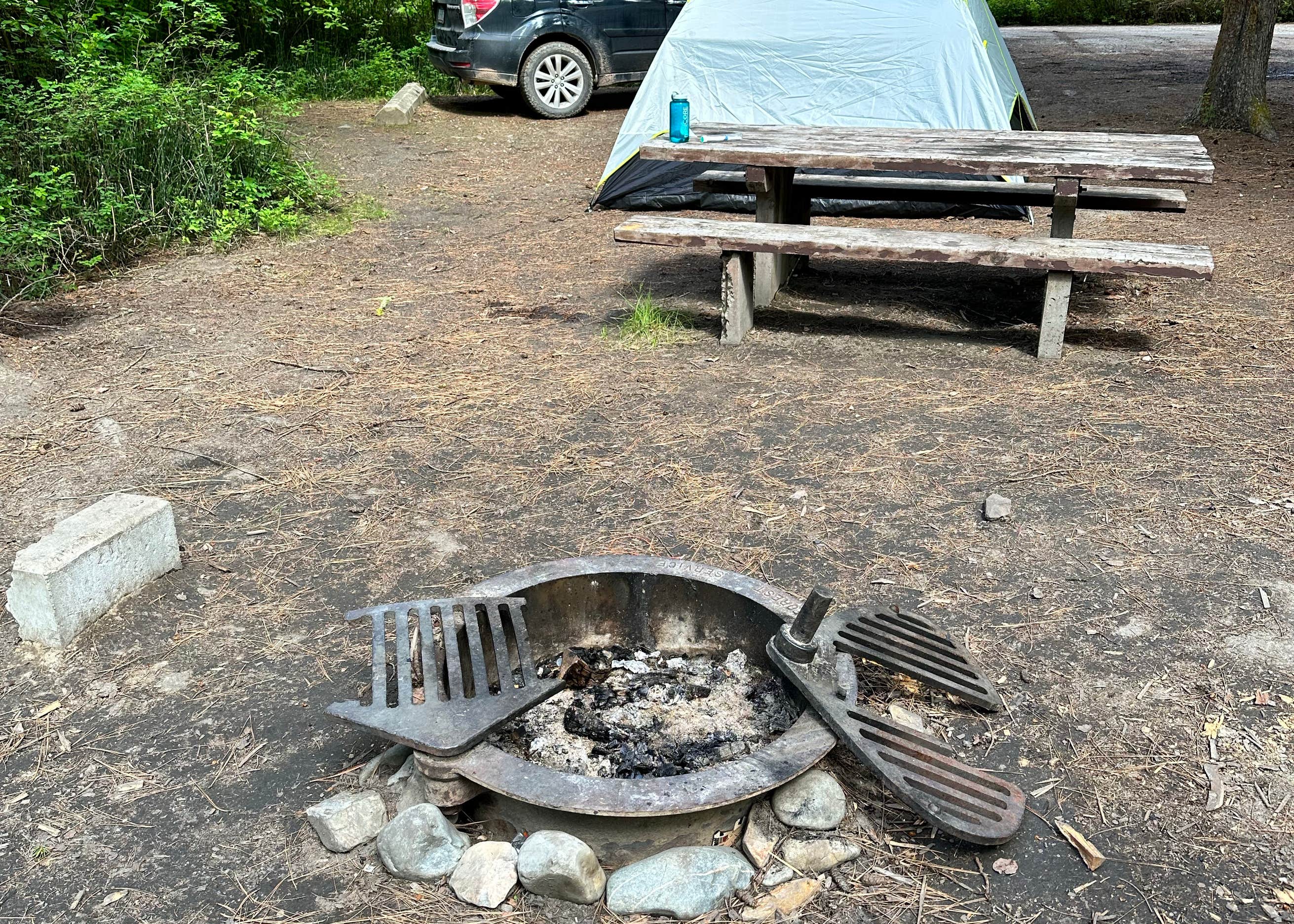 Black Bear Campground Camping | The Dyrt