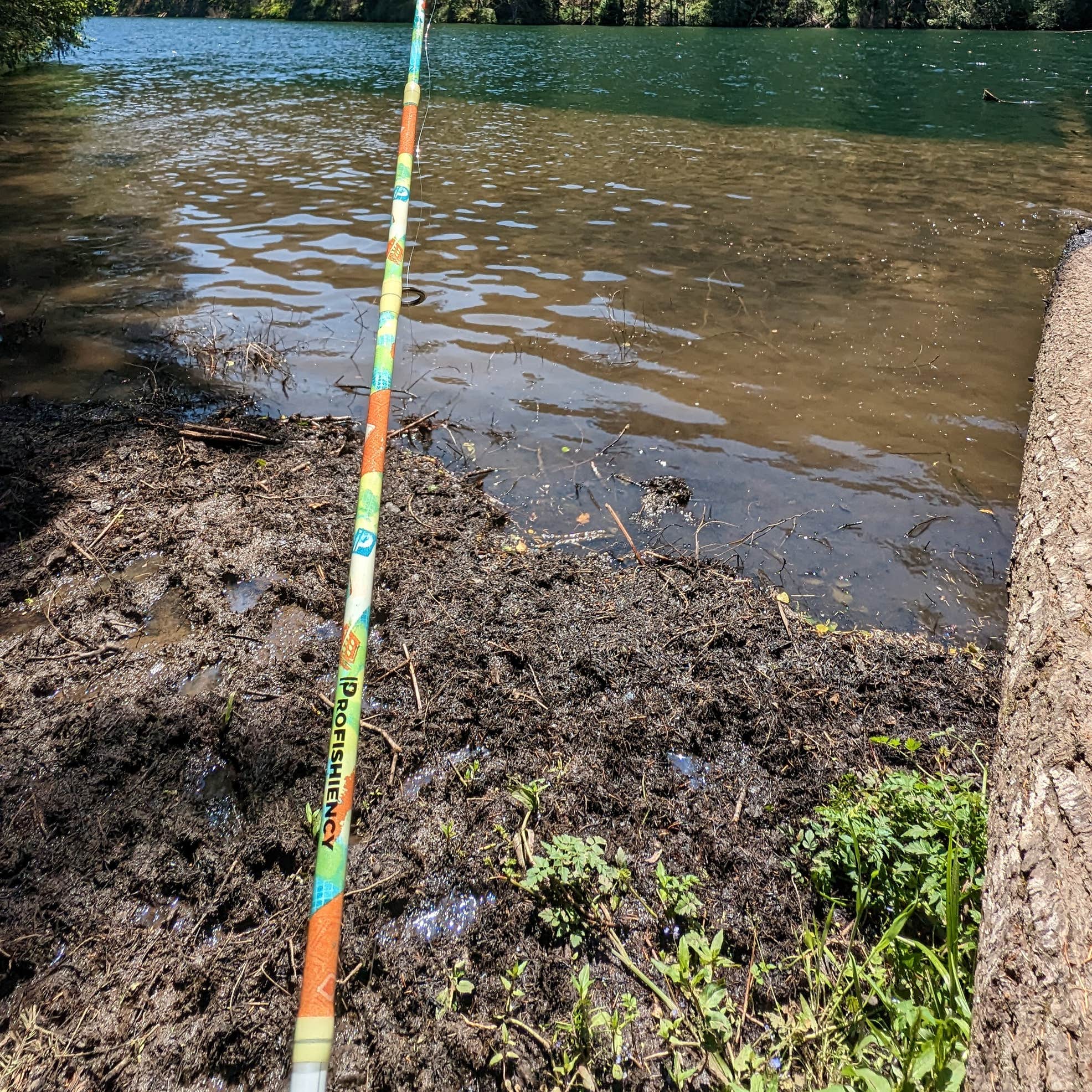 Promontory Park Camping | Estacada, Oregon