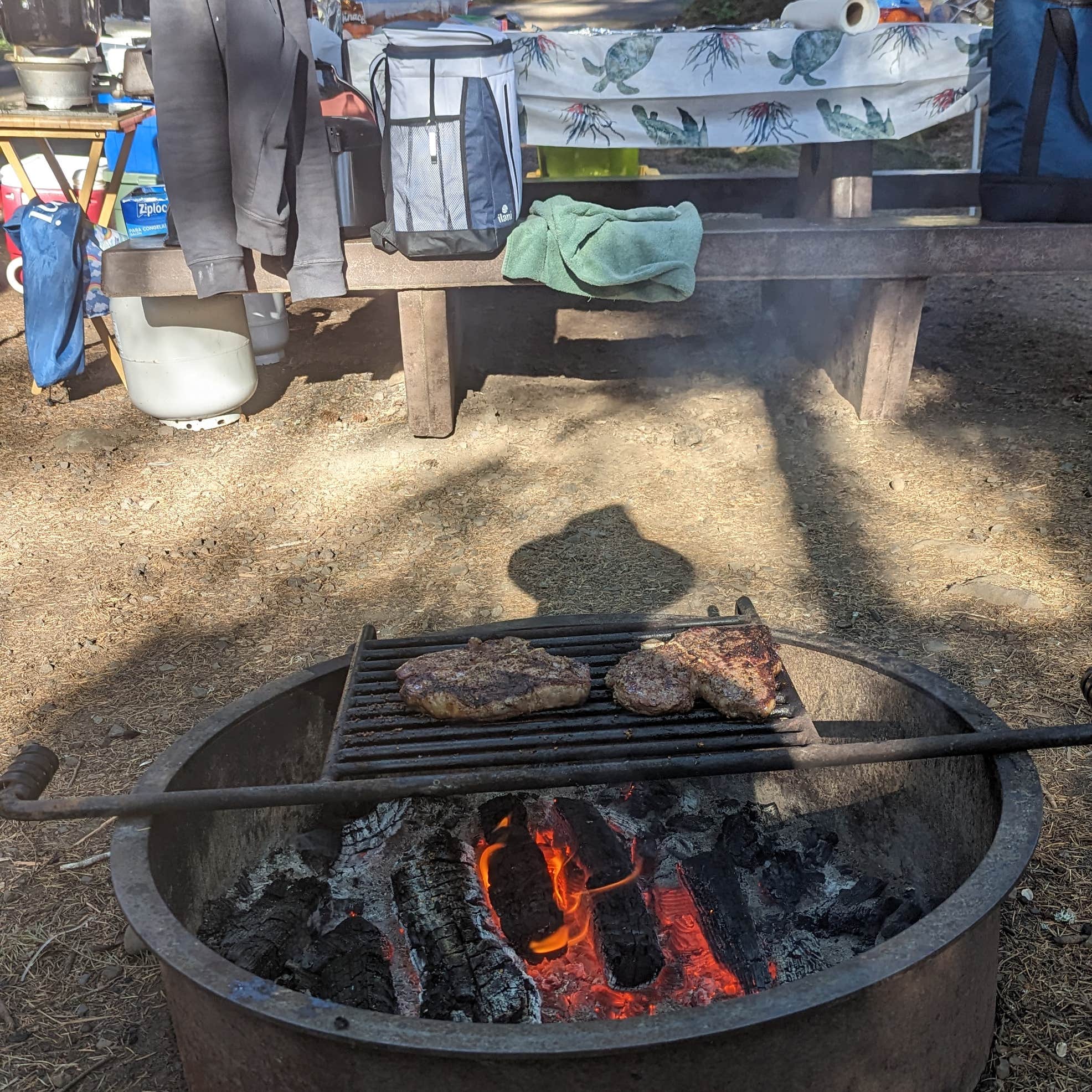 Promontory Park Camping | Estacada, Oregon