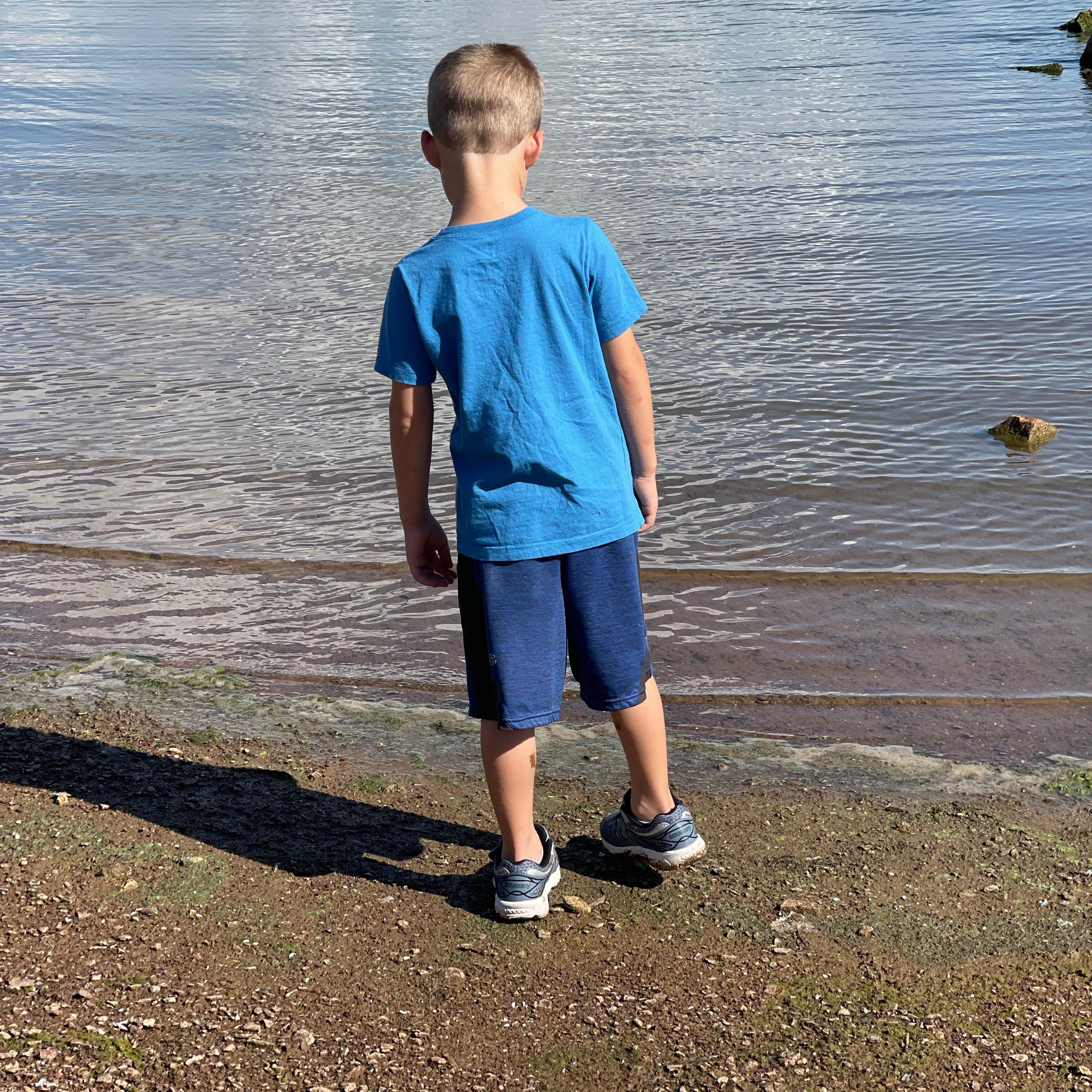 West Shore — Cheney State Park Camping | Cheney, Kansas