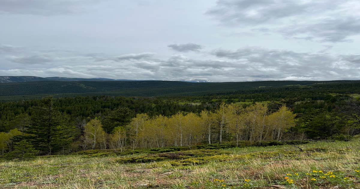 MVUM 496.1 Dispersed Site Camping | Nederland, Colorado