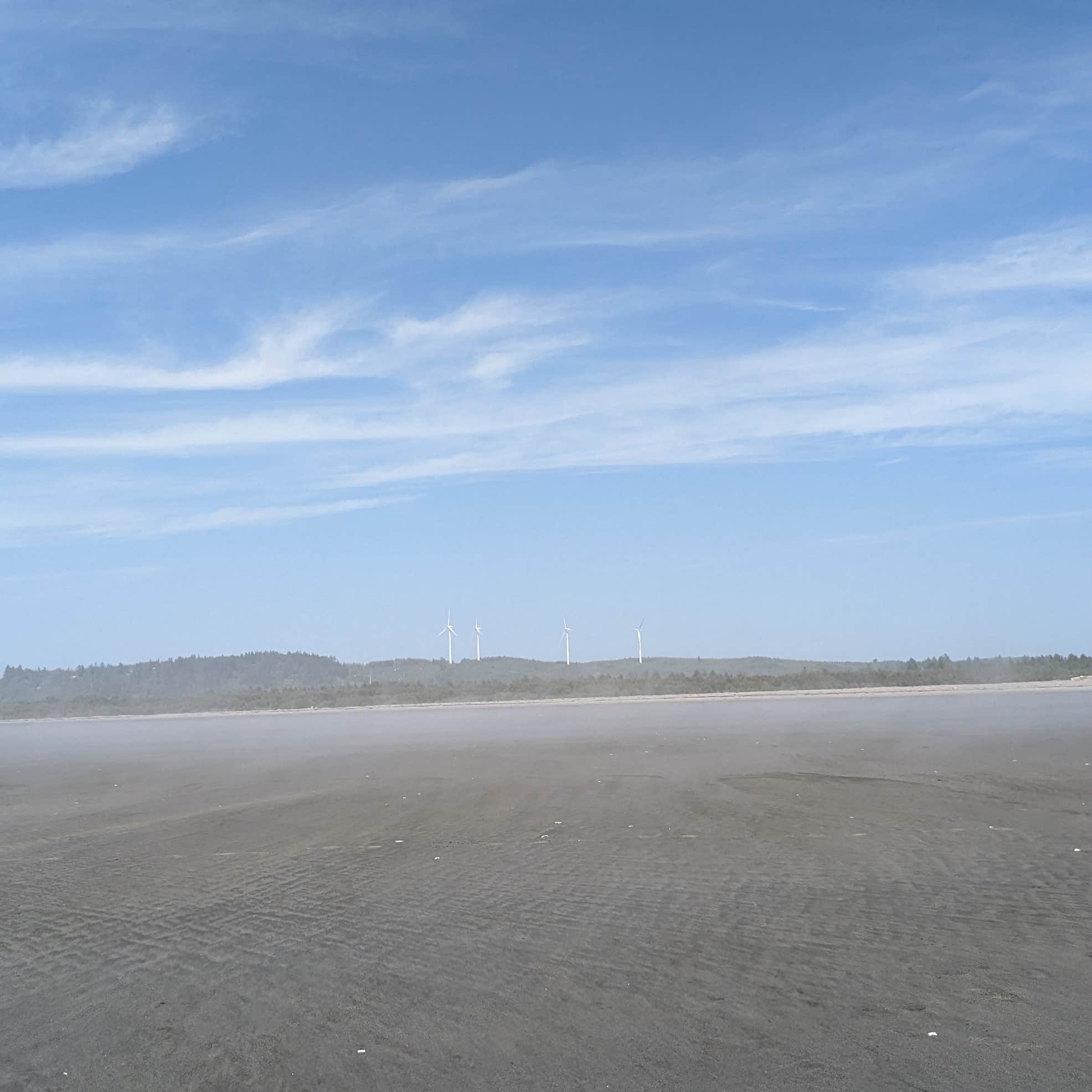 Grayland Beach State Park Campground | Westport, Washington