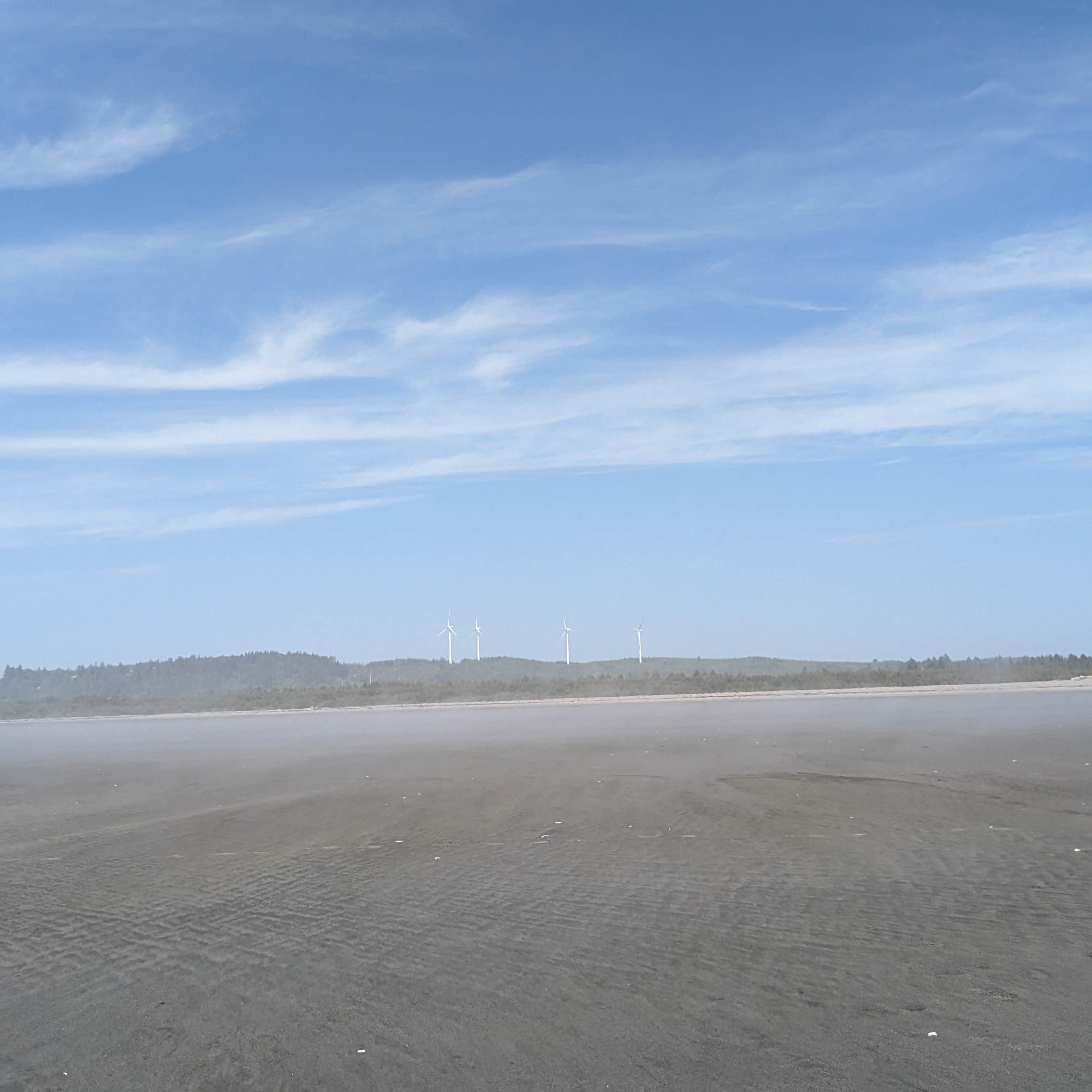 Grayland Beach State Park Campground | Westport, Washington