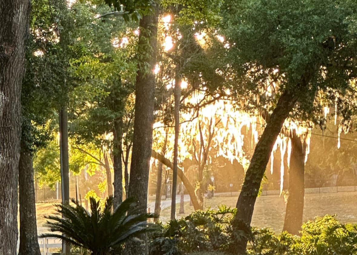 Ladybug Lane Camping | The Dyrt