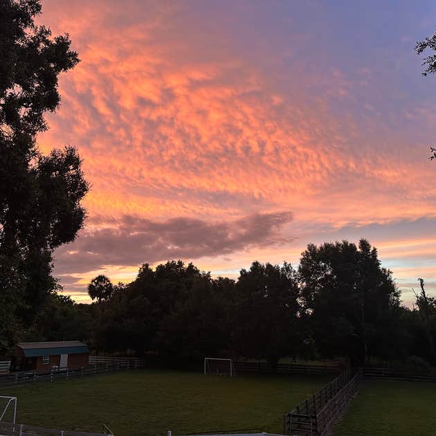 Ladybug Lane Camping | The Dyrt