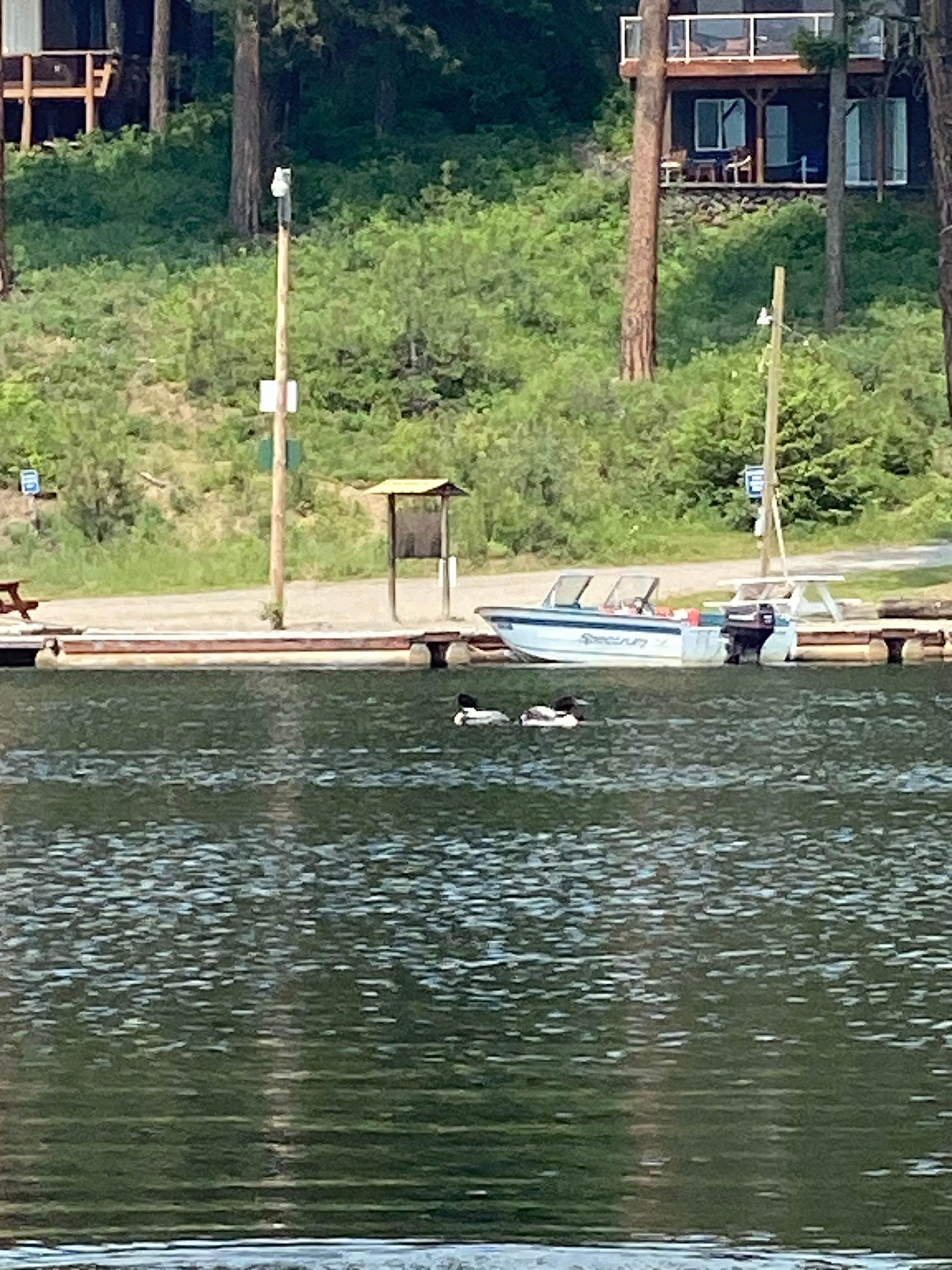 Rainbow Beach Resort Camping | Inchelium, WA